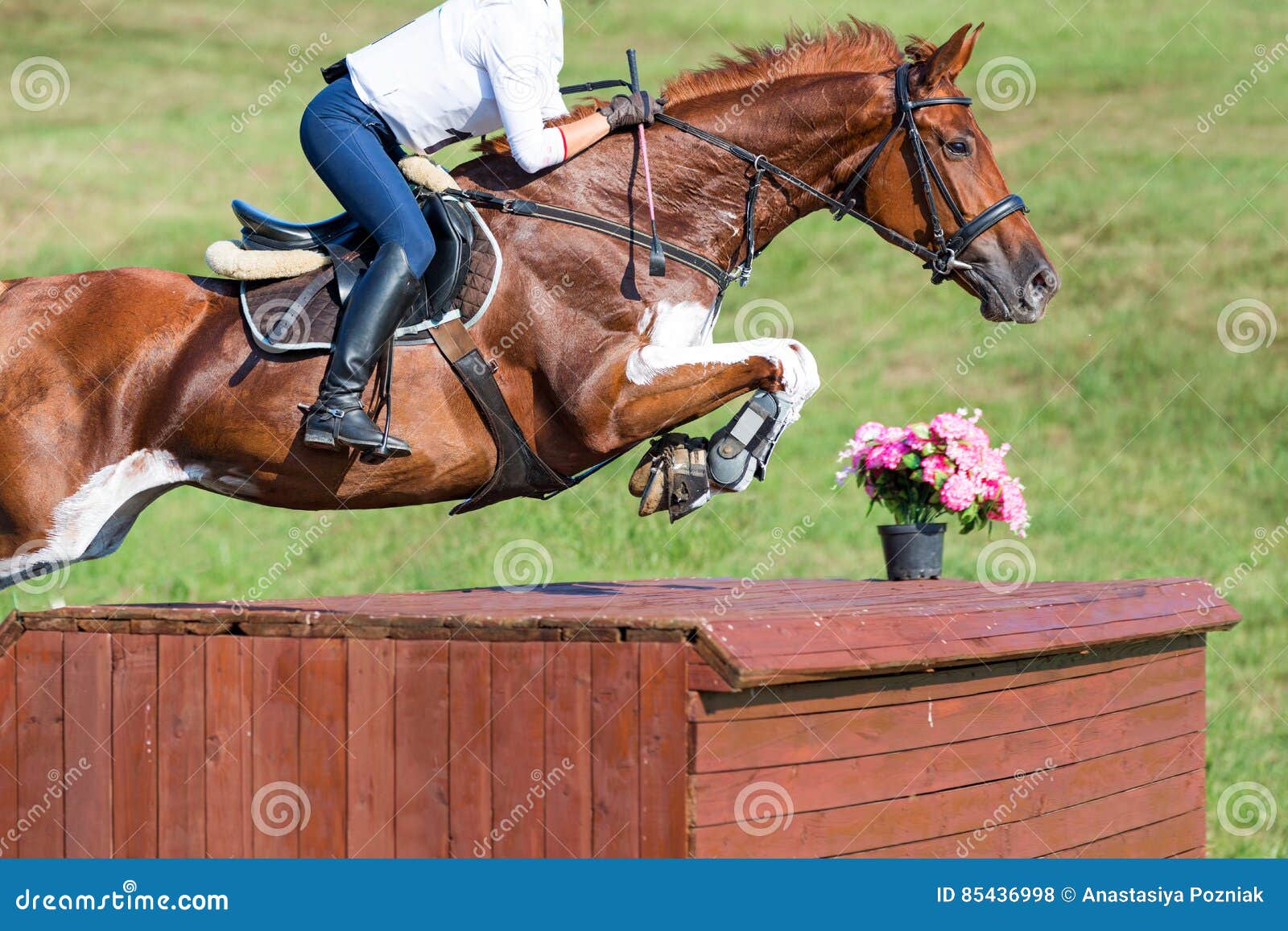 Paard Die Over Een Hindernis Springen Stock Foto - Image of ruiter ...