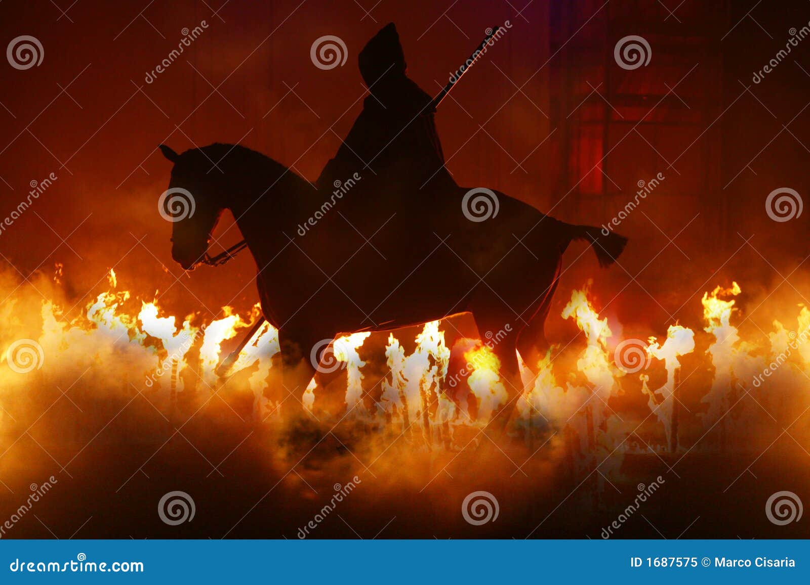 Paard en brand stock afbeelding. Image of foto, brand - 1687575