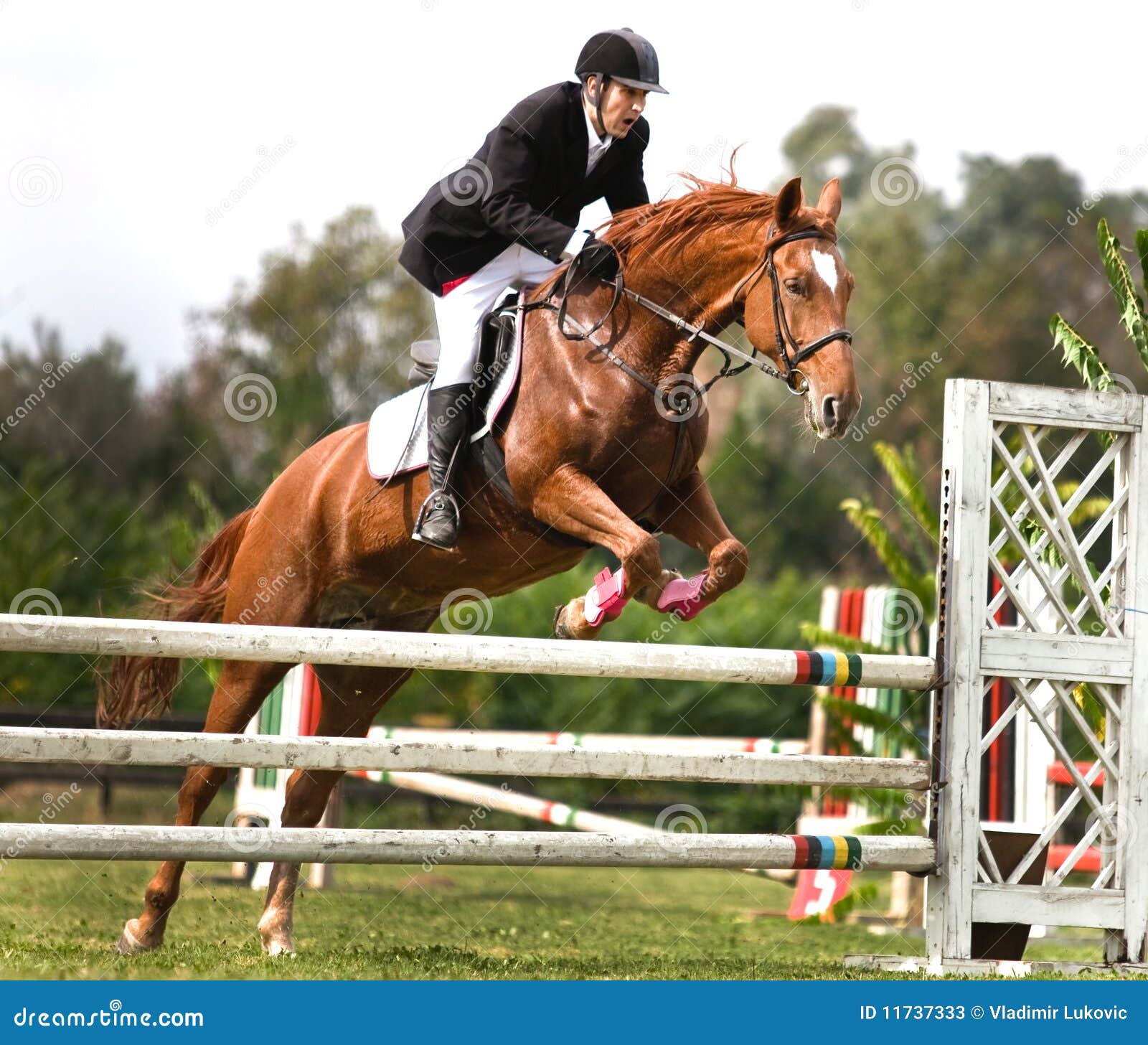 Paard En Jockey Het Springen Stock Afbeelding - Image of ontruim ...