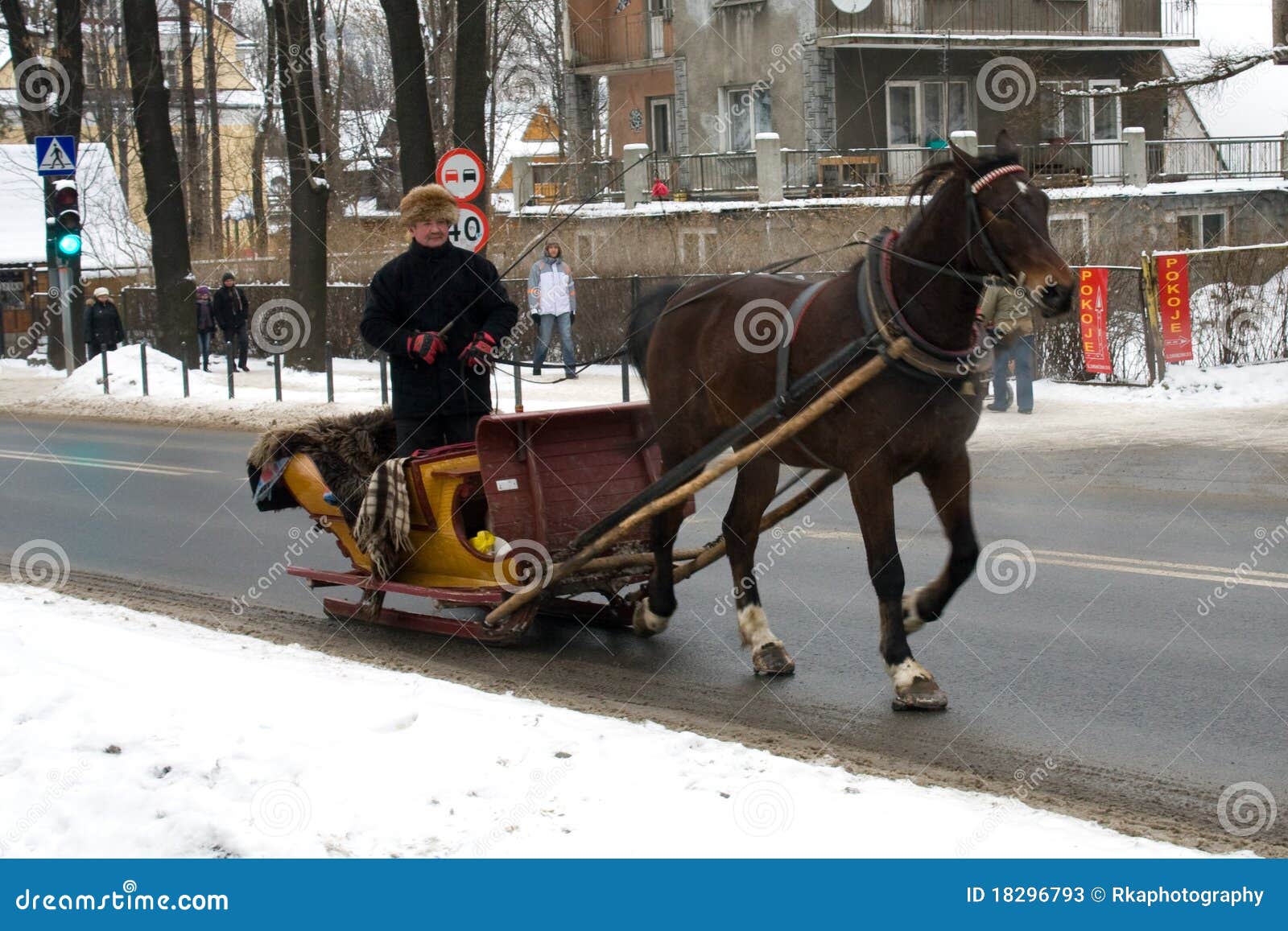 Paard en Kar redactionele stock foto. Image of noseuse - 18296793