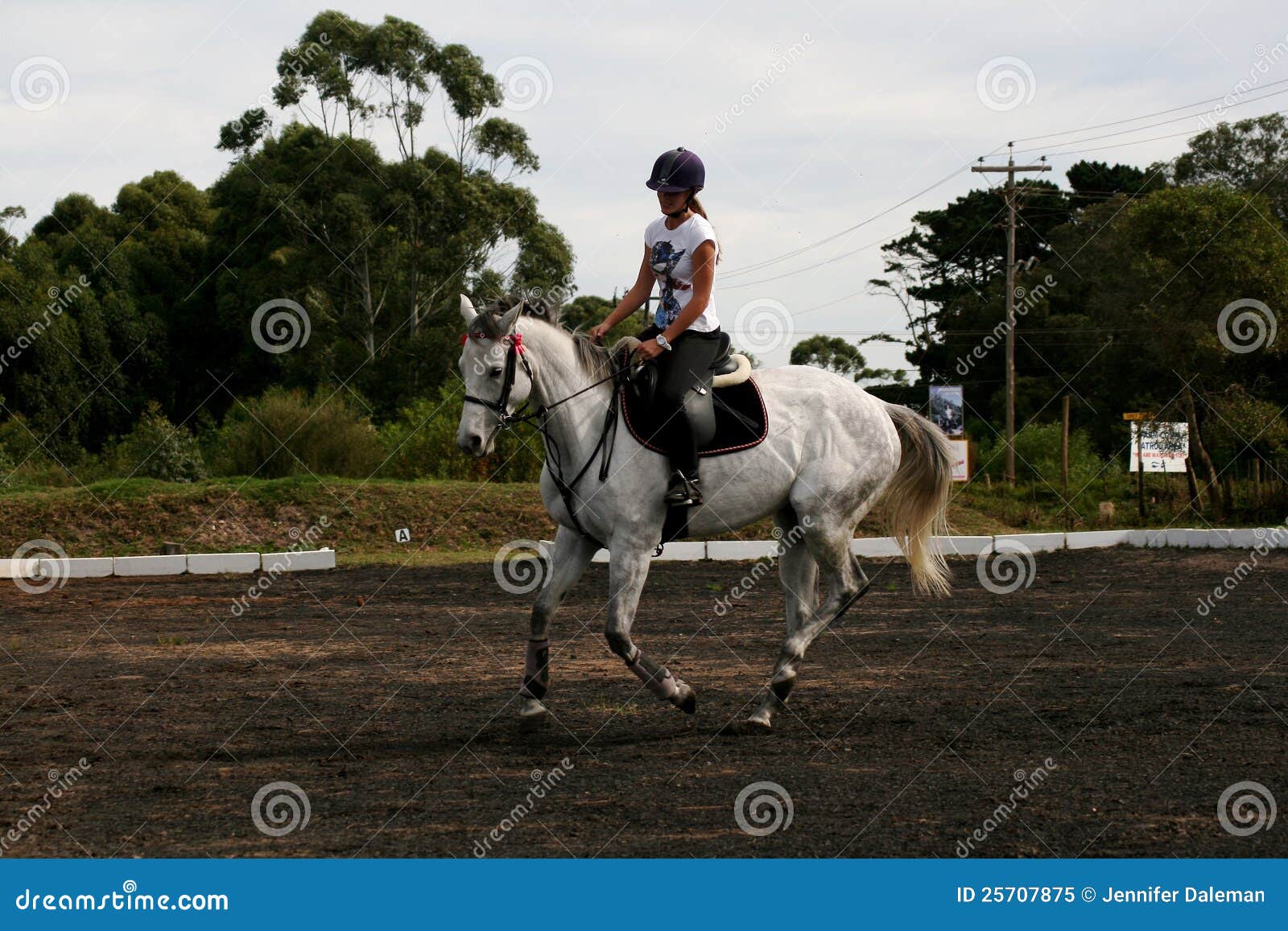 Paard en ruiter stock afbeelding. Image of activiteiten - 25707875