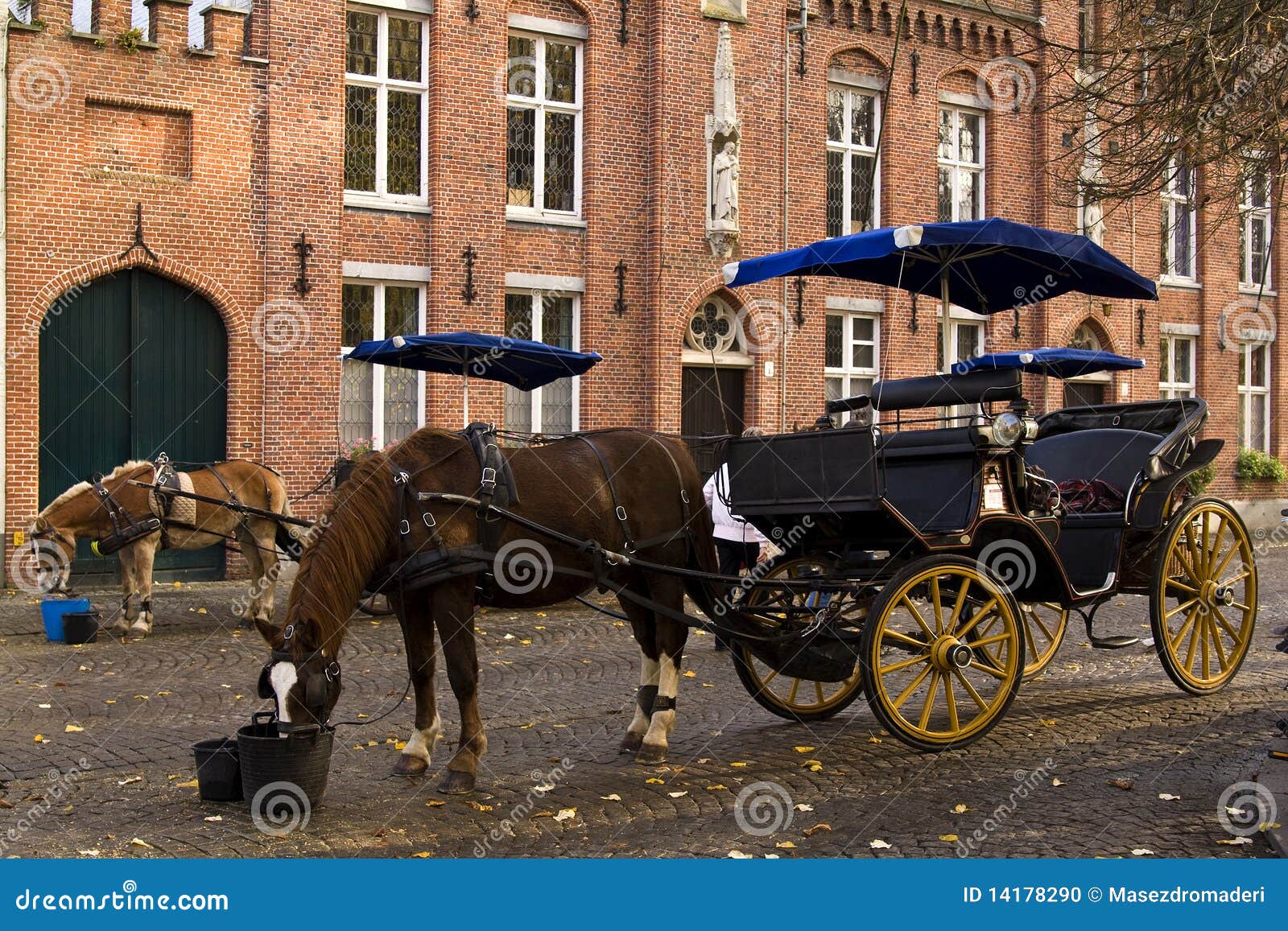 Paard en vervoer stock foto. Image of onderbreking, vervoer - 14178290