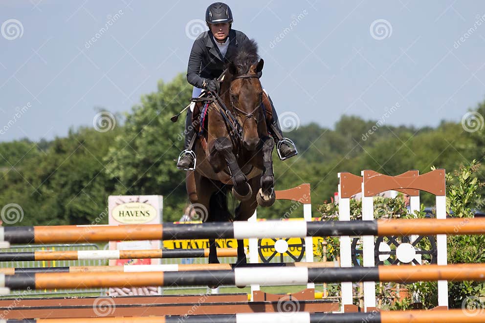 Paard het springen redactionele afbeelding. Image of levensstijl - 32885270