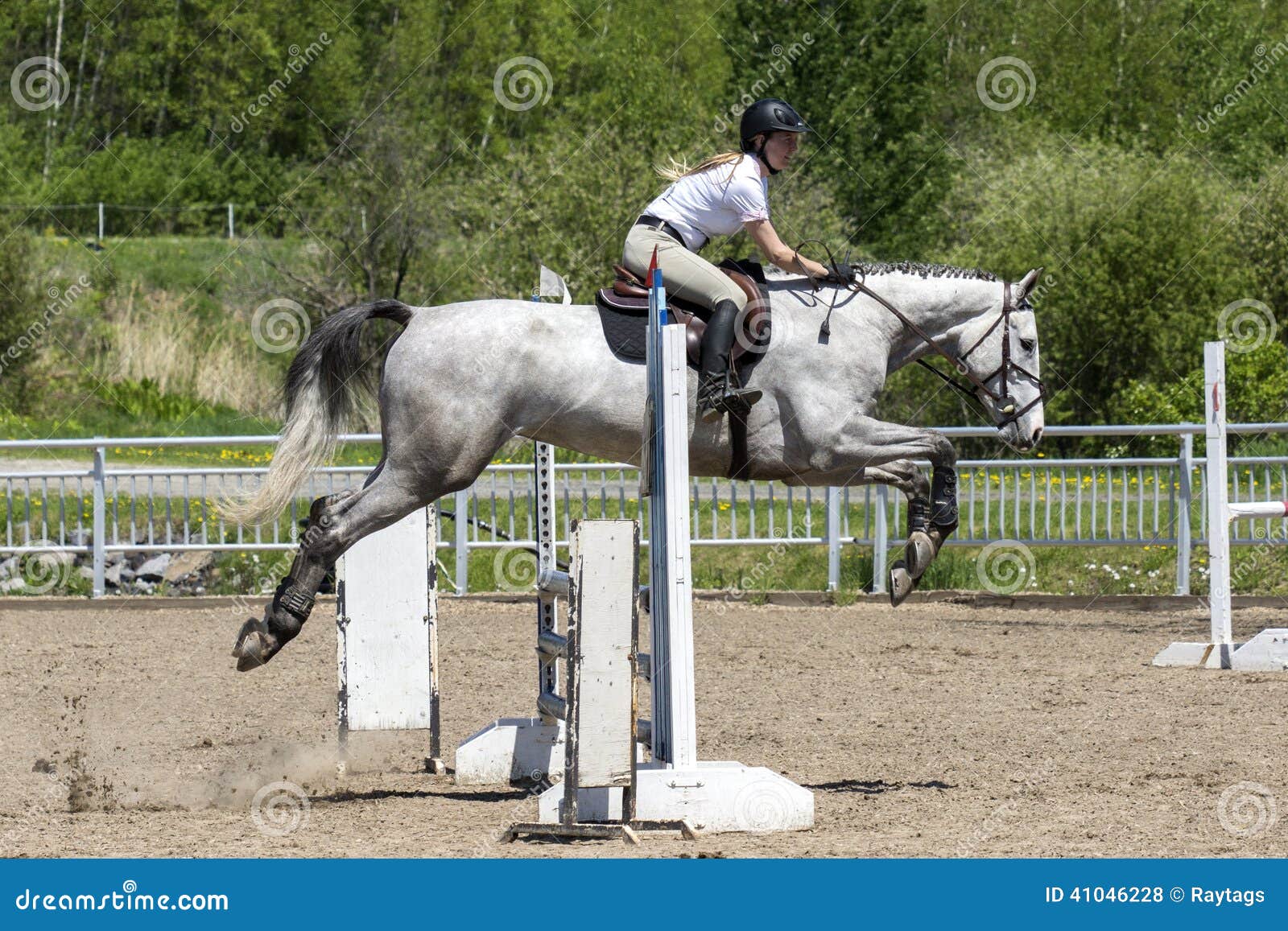 Paard het springen redactionele stock foto. Image of springen - 41046228