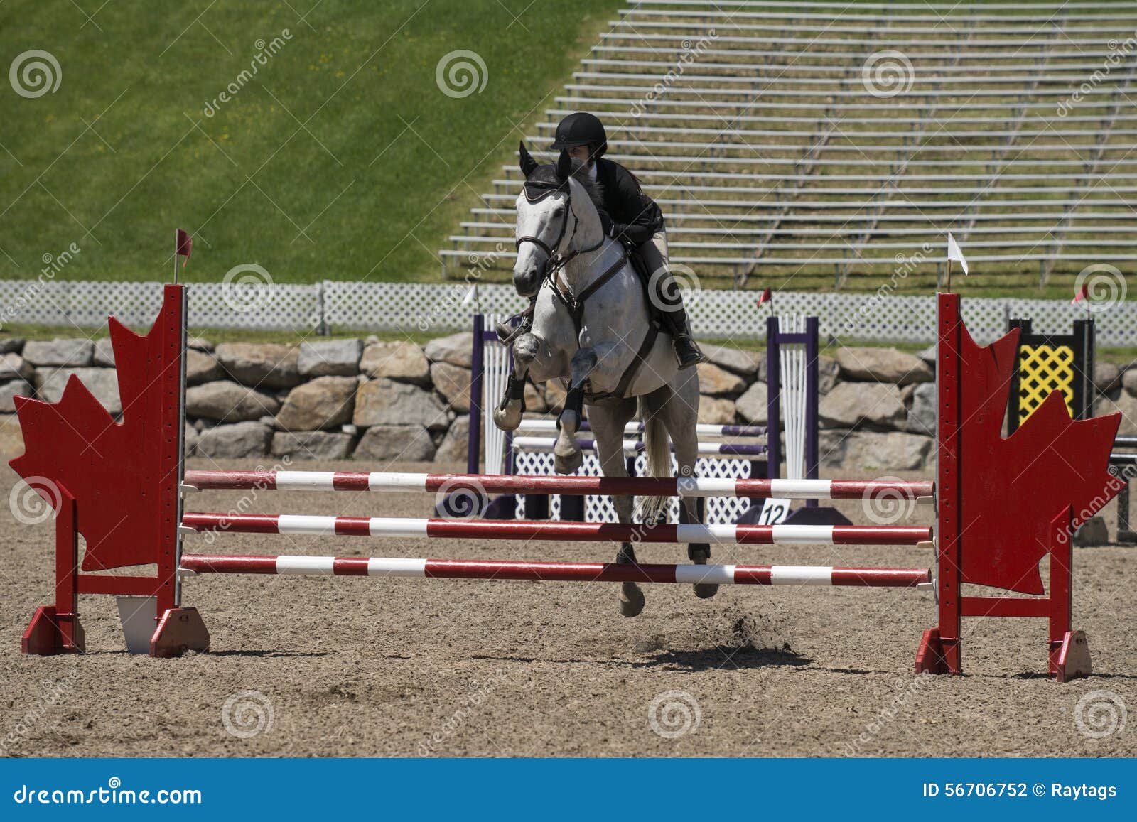 Paard het springen redactionele fotografie. Image of kampioenschap ...