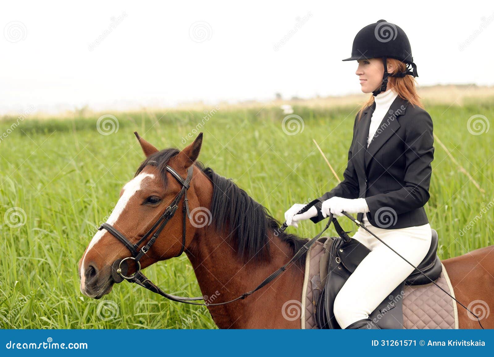 Paard met ruiter stock afbeelding. Image of herbivoren - 31261571