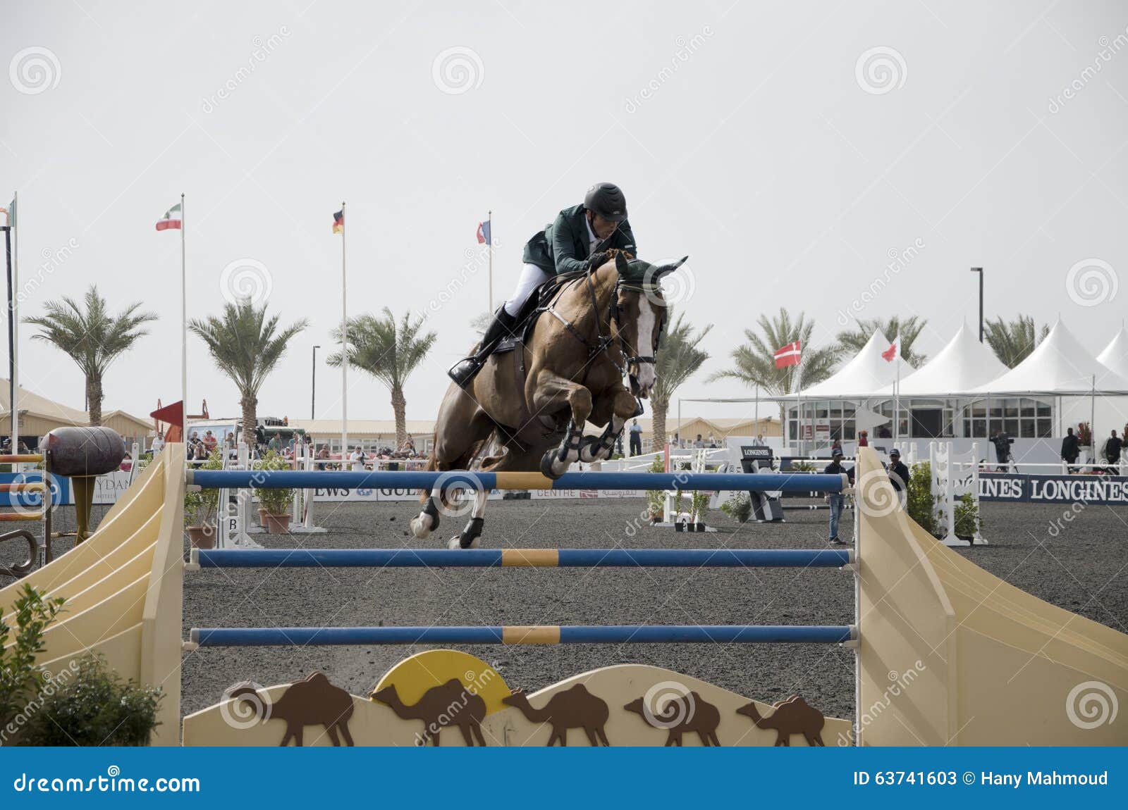 Paard Springend Kampioenschap Redactionele Stock Foto - Image of atleet ...