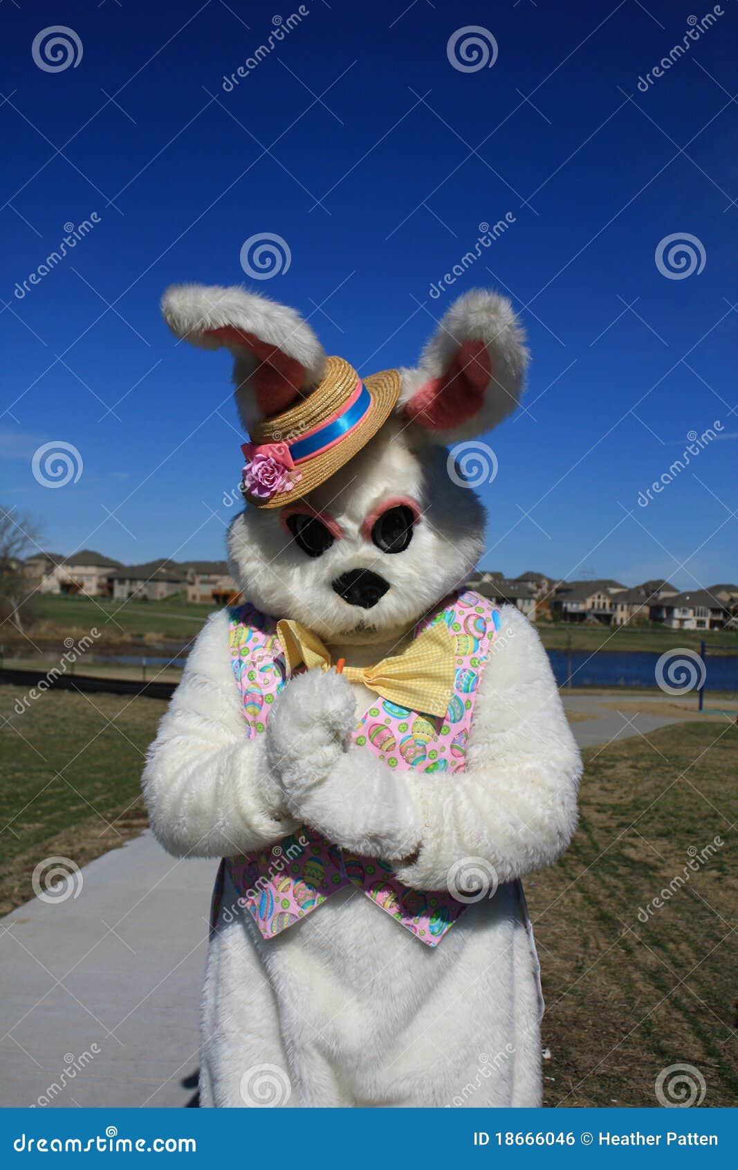 Paashaas stock foto. Image of oren, vakantie, hazen, katoenstaartkonijn ...