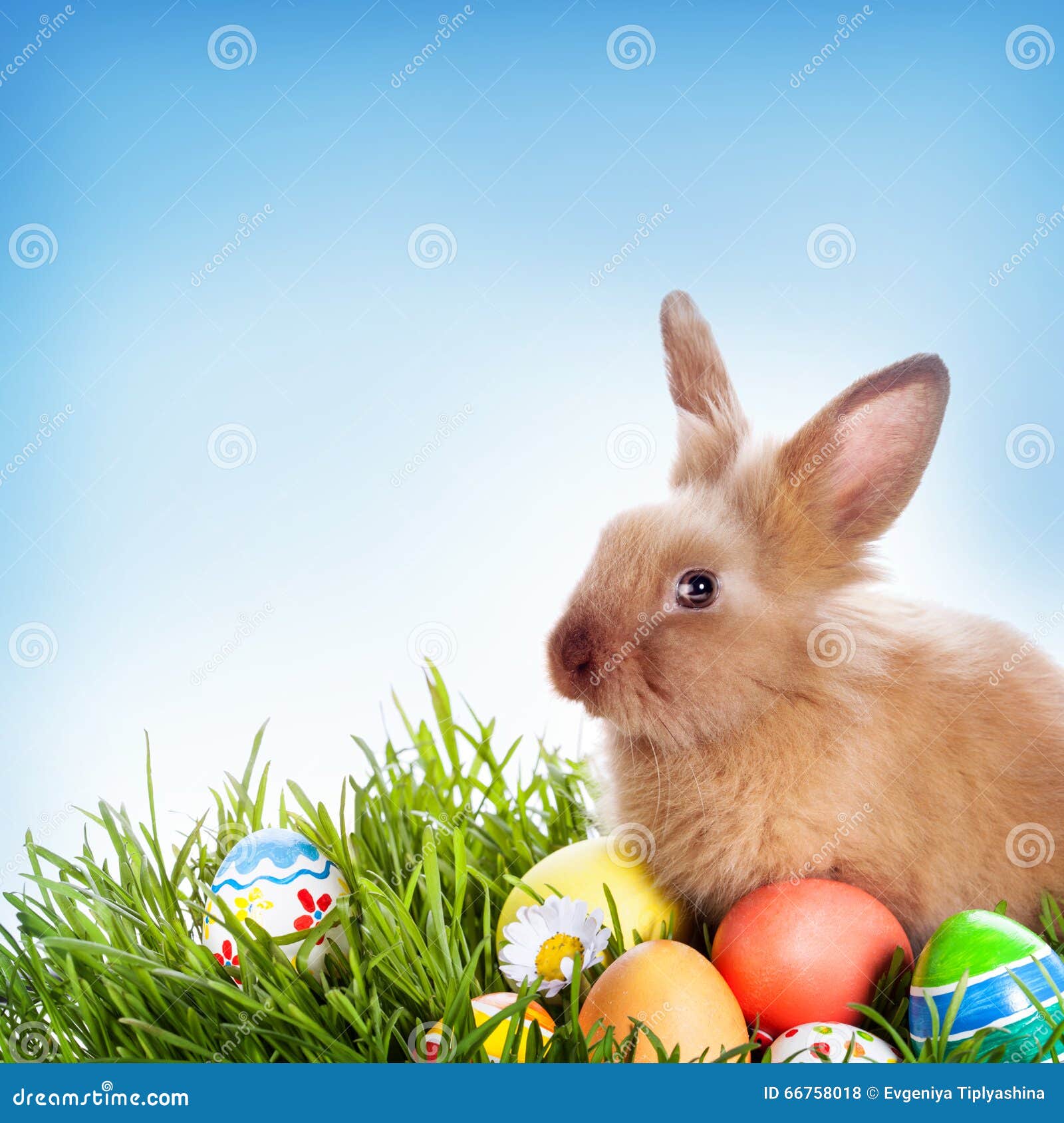 Paashaas en Paaseieren stock foto. Image of trillend - 66758018