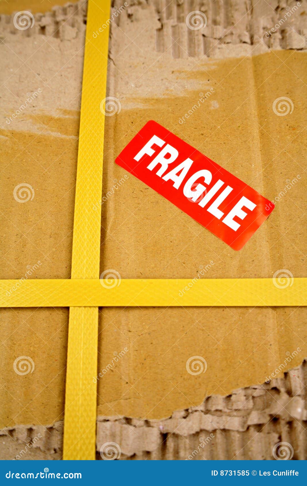 Pacchetto fragile immagine stock. Immagine di copia, imballaggio - 8731585