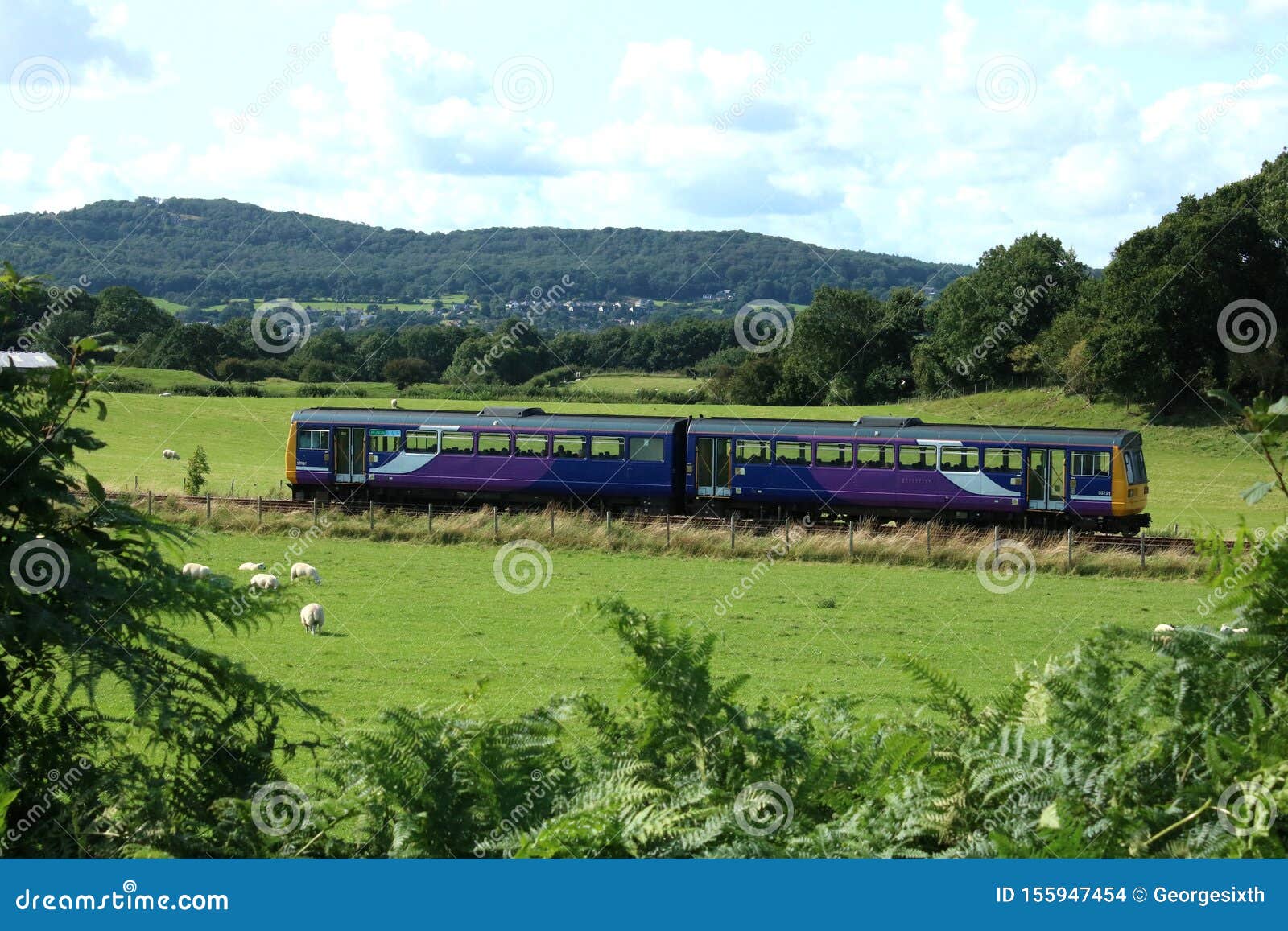 Pacer Diesel Multiple Unit Train in Countryside Editorial Stock Image ...
