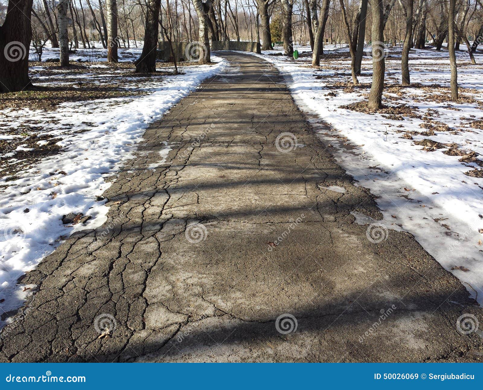 Pach stock image. Image of pach, snow, path, grass, tree - 50026069