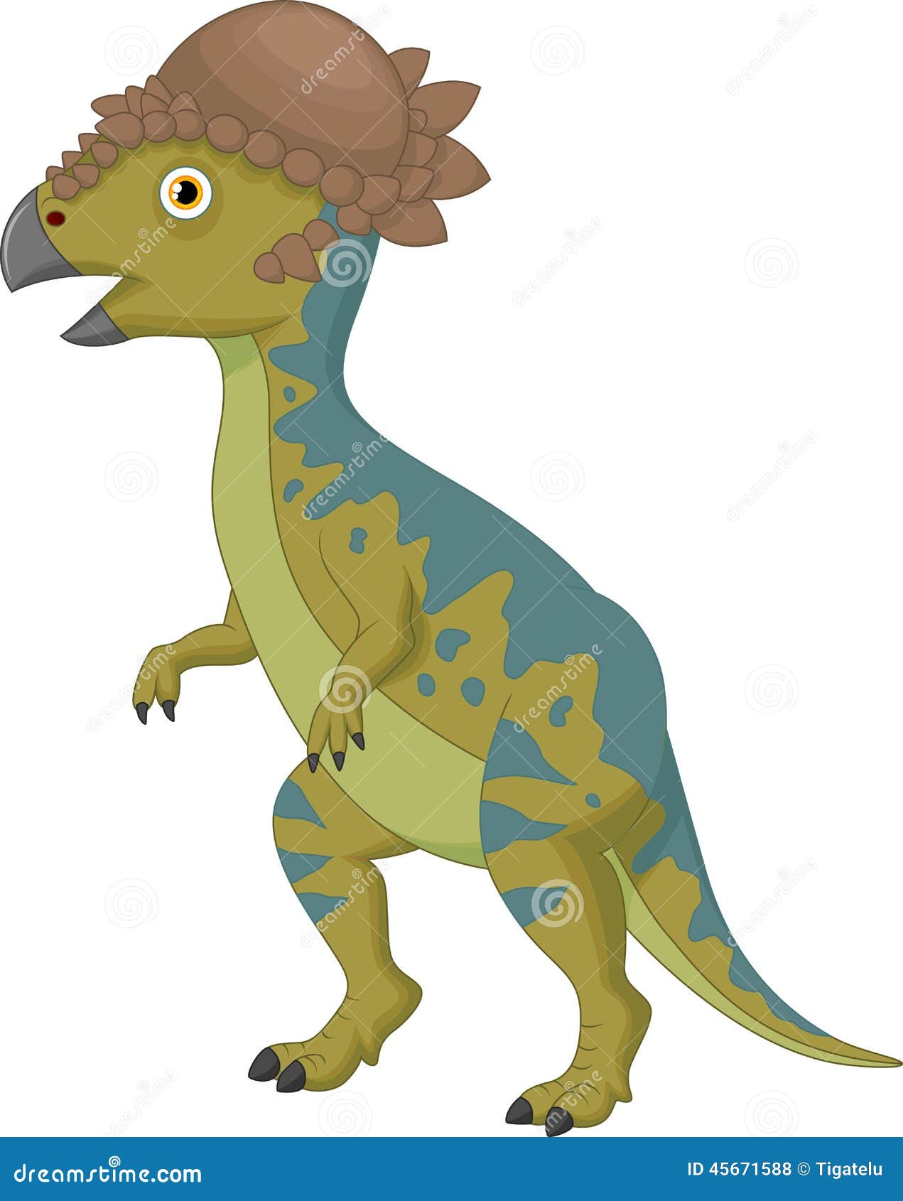 Pachycephalosaurus Cartoon Illustration Royalty-Free Stock Photography ...