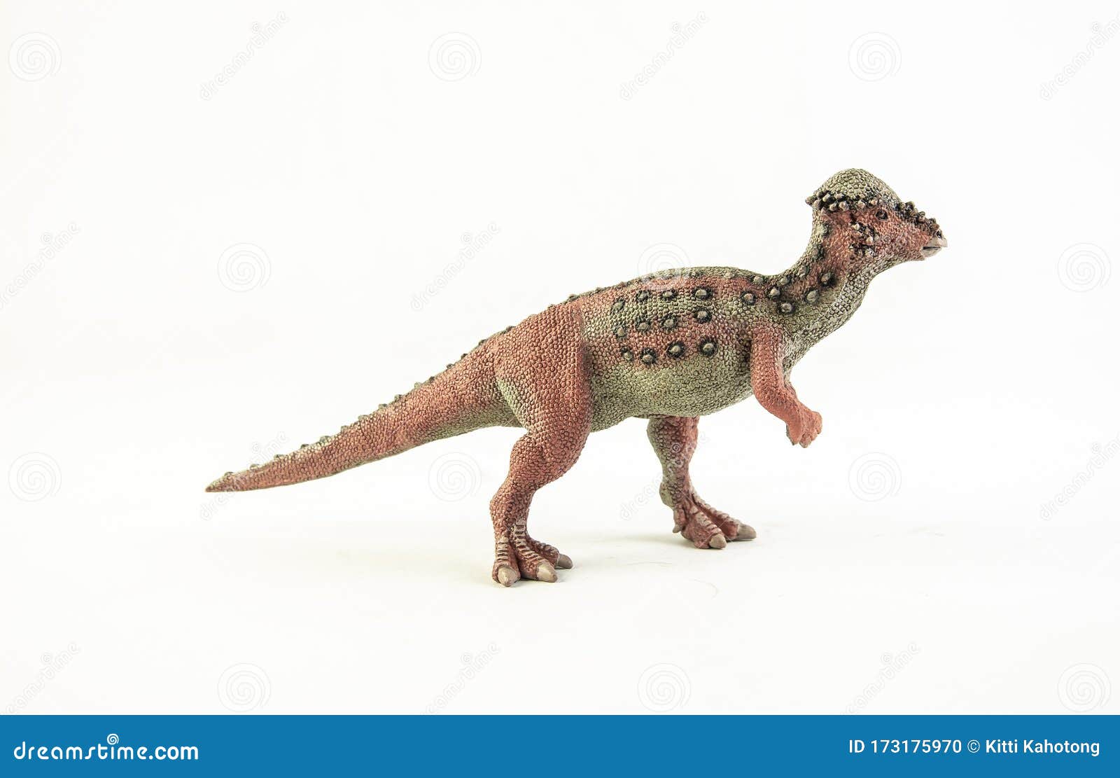 Dinosaur With Bump On Head
