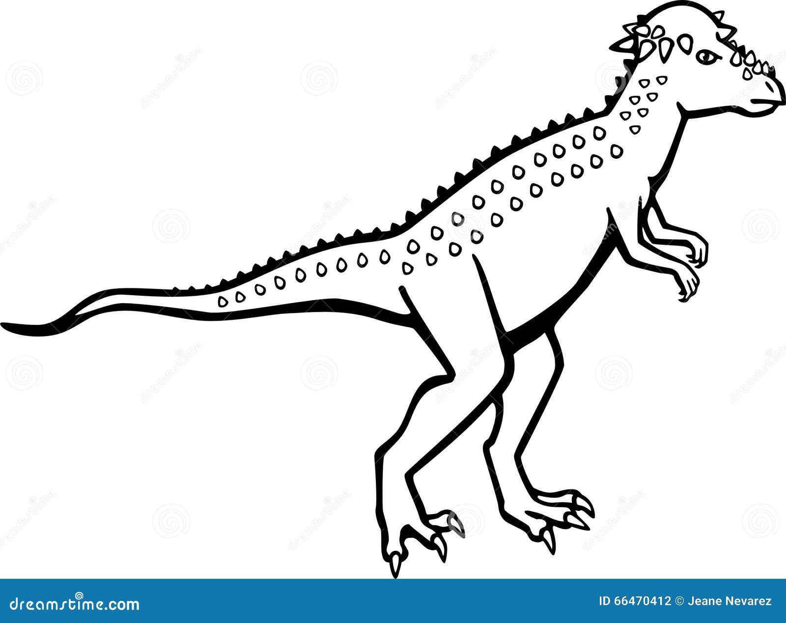 Pachycephalosaurus stock vector. Illustration of reptile - 66470412