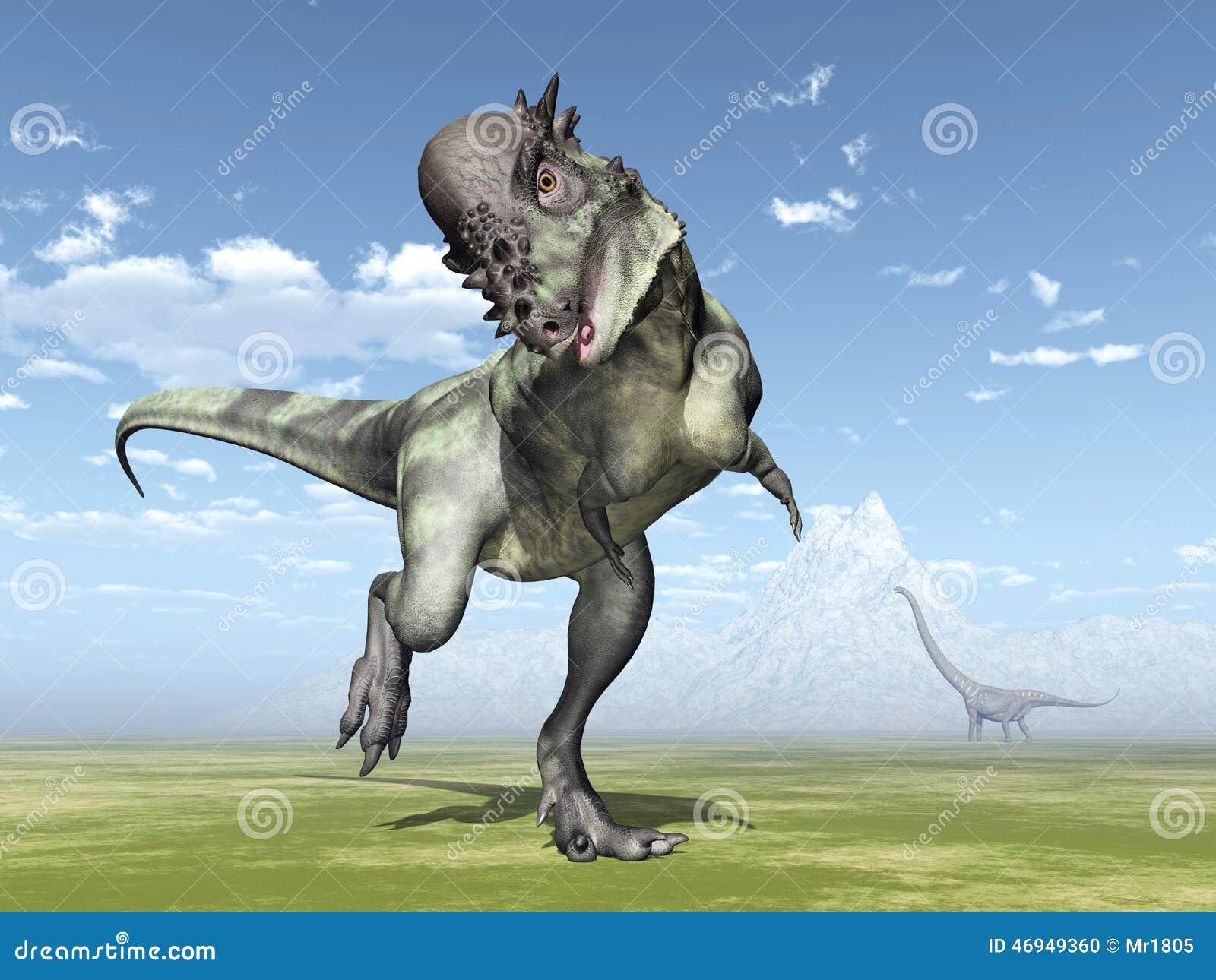 Pachycephalosaurus and Mamenchisaurus Stock Illustration - Illustration ...