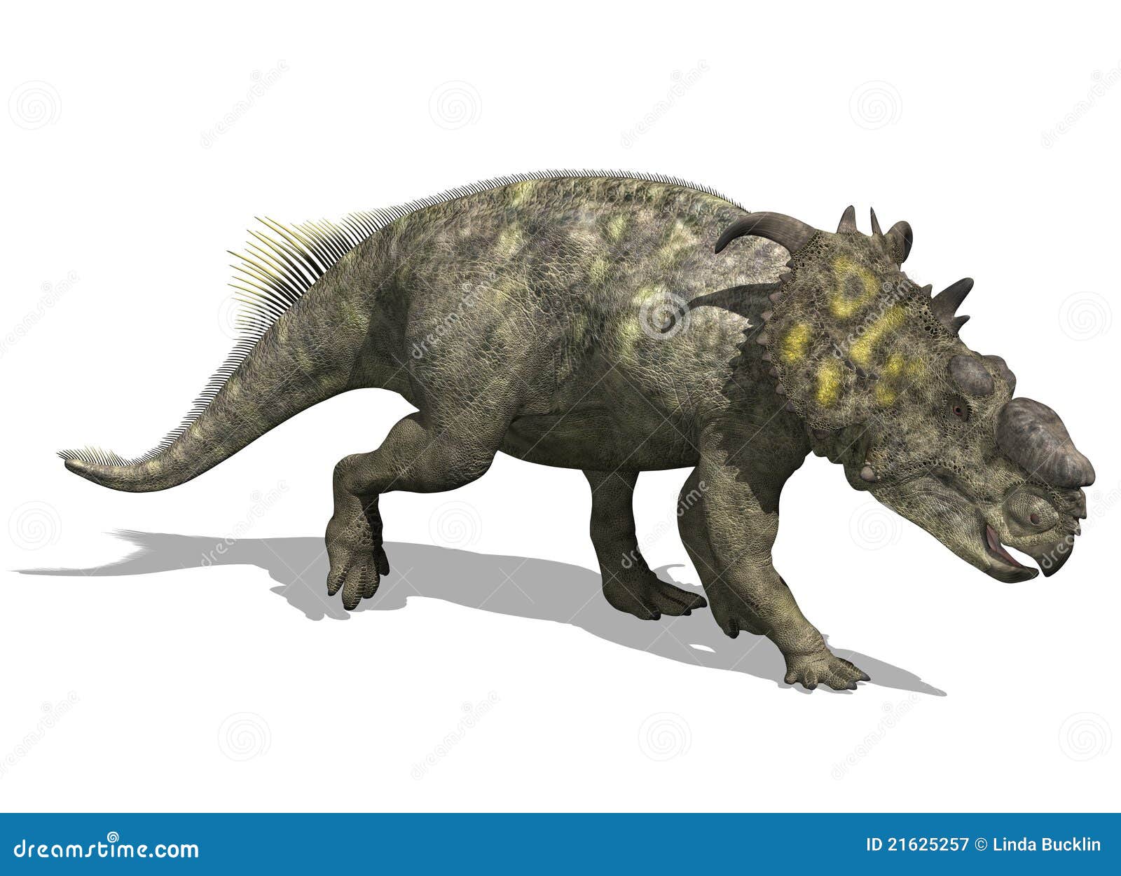 Pachyrhinosaurus Dinosaur stock illustration. Illustration of dinosaurs ...