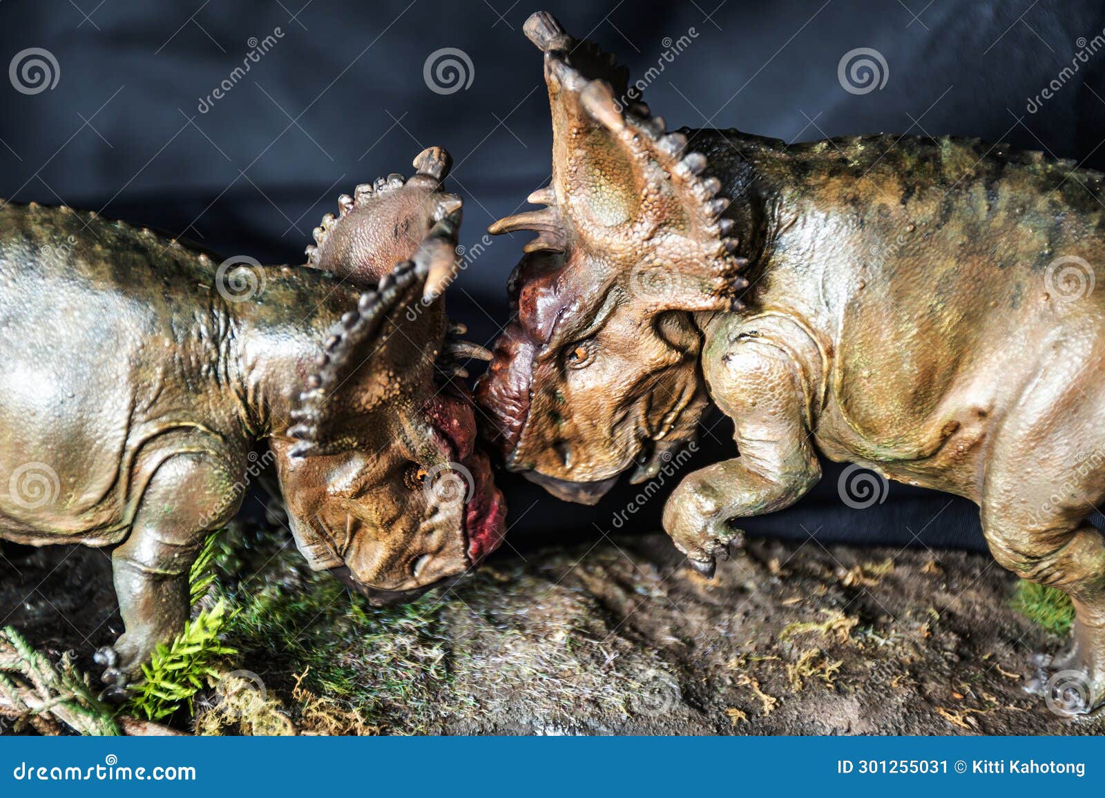 Pachyrhinosaurus Dinosaur in the Dark Stock Image - Image of ...
