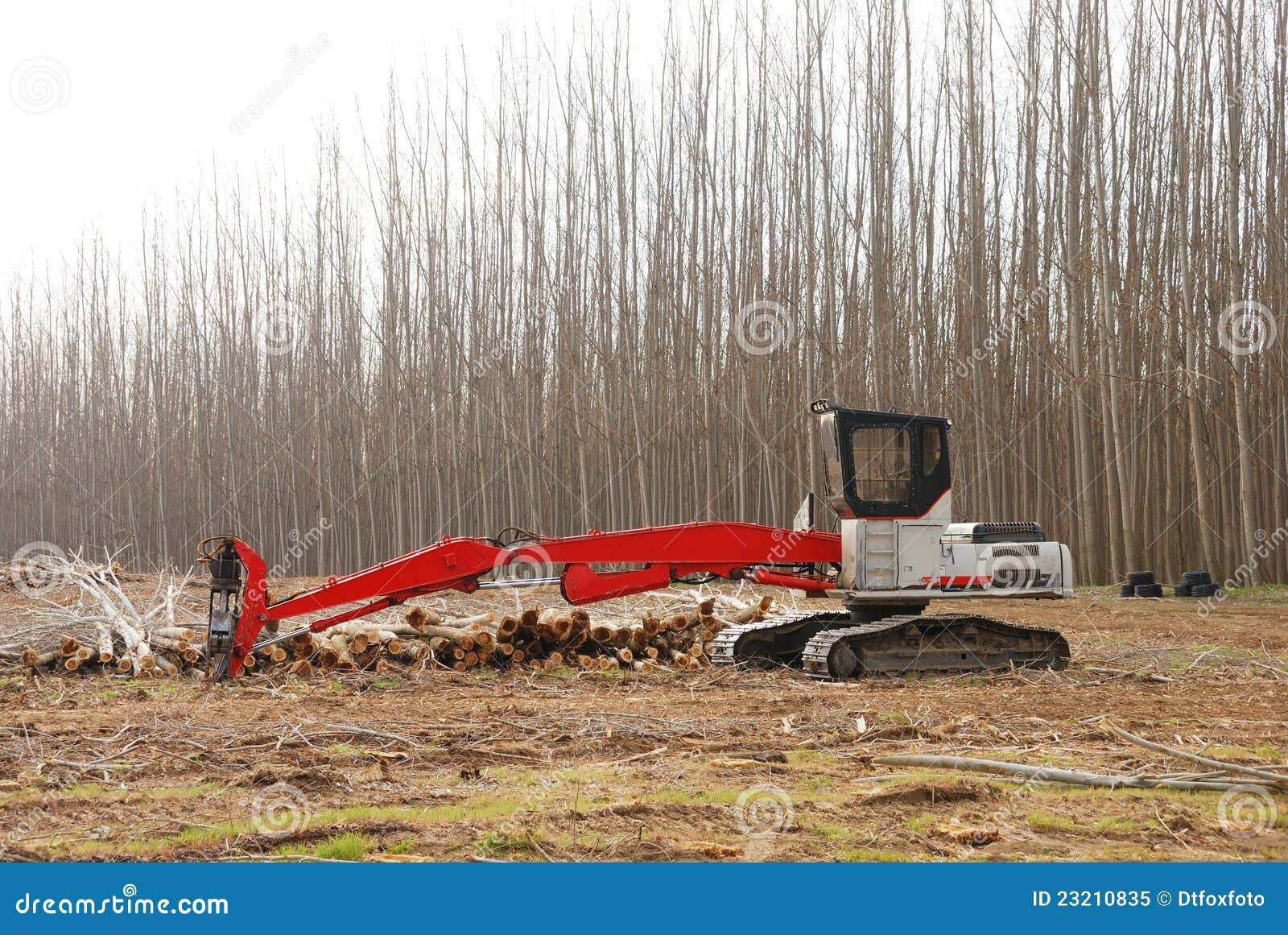 Pacific Albus Loader stock image. Image of oregon, rural - 23210835