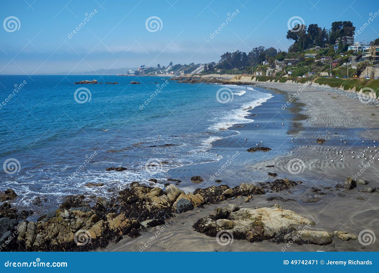 Pacific Coast of Chile stock image. Image of beach, chilean - 49742471