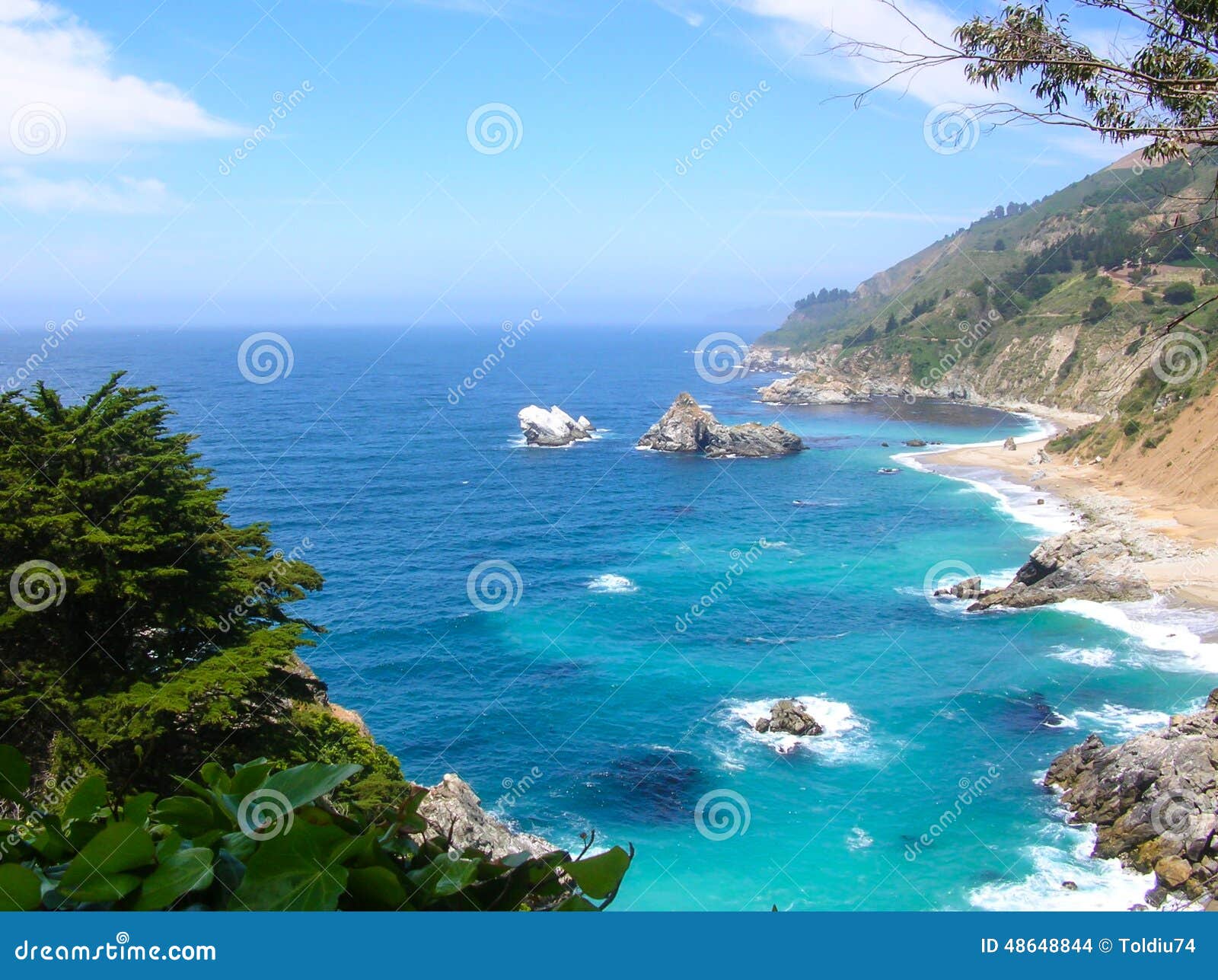 Pacific Coast cliff stock photo. Image of ocean, nature - 48648844