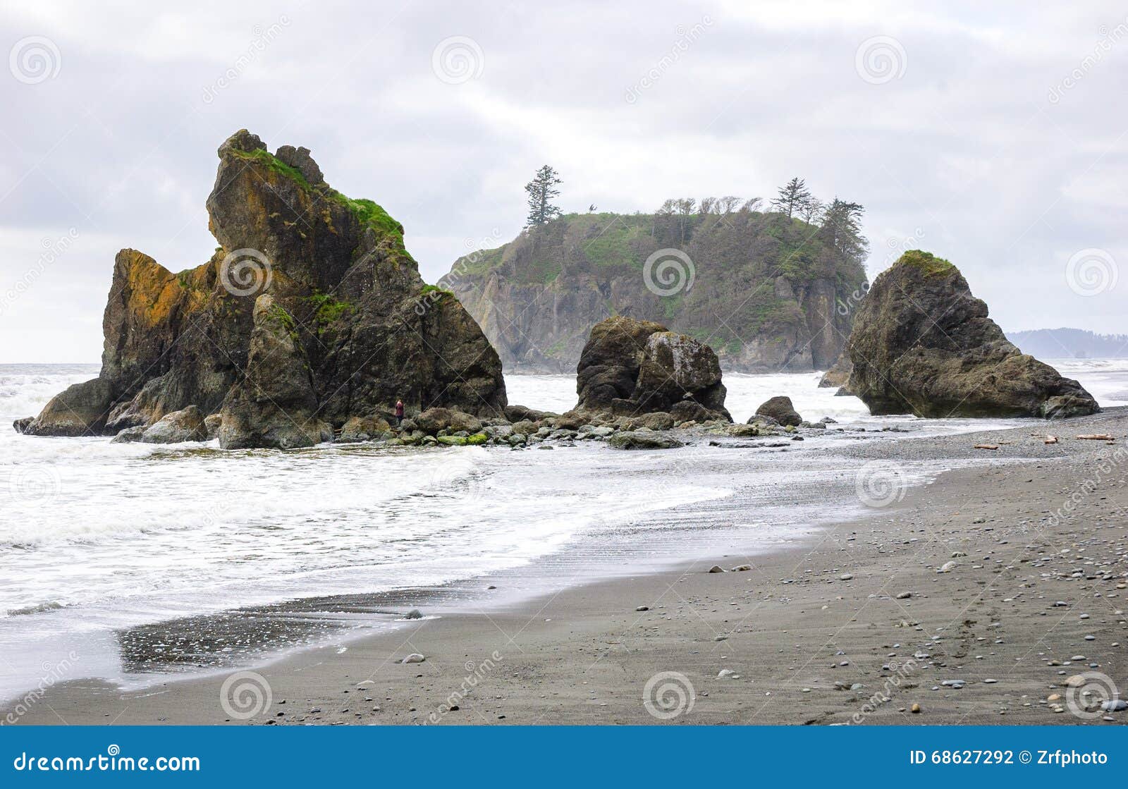 Pacific Coast, Olympic National Park Editorial Photography - Image of ...