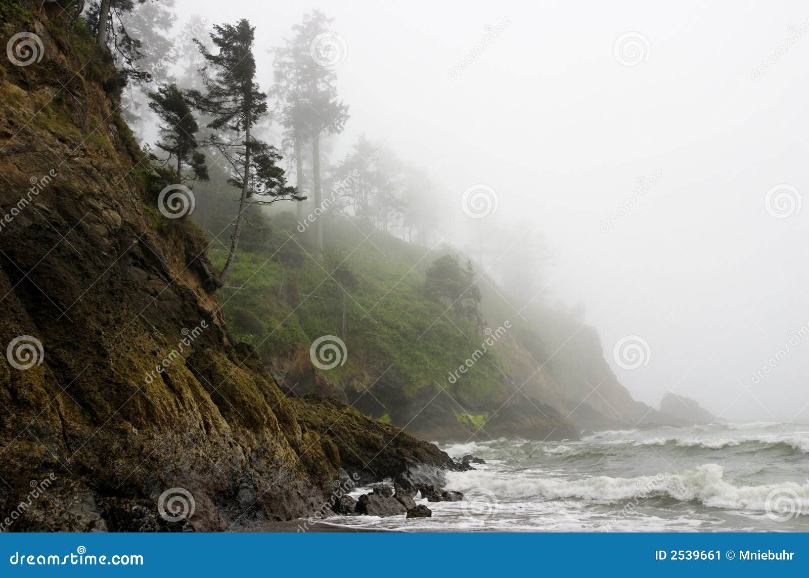 Pacific Coast Rugged Shoreline Rocky Fog Stock Image - Image of ...