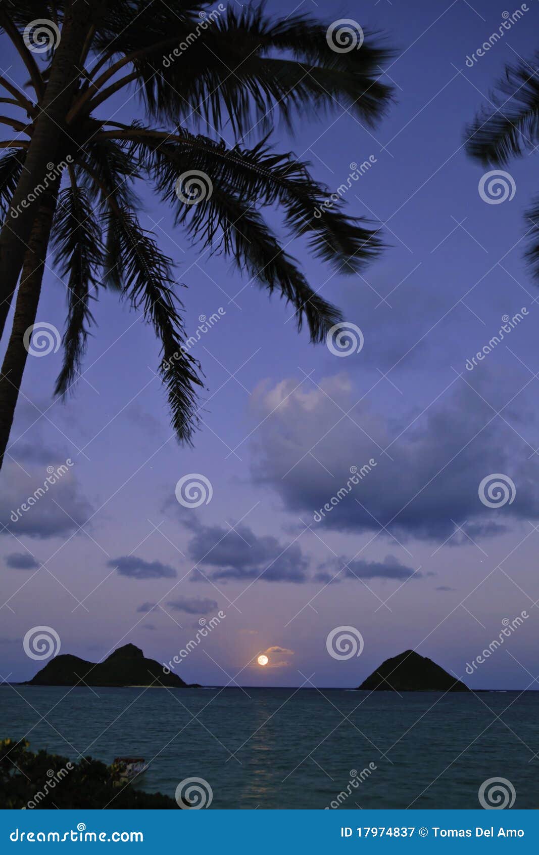 Pacific moonrise in hawaii stock image. Image of tropical - 17974837