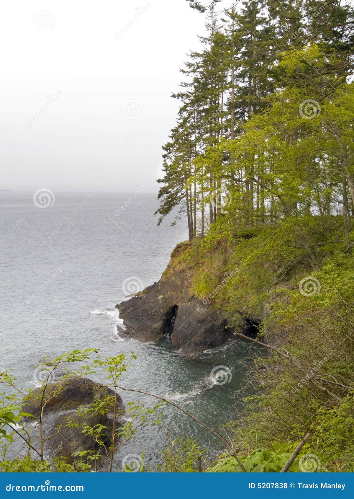 Pacific Northwest Beach stock photo. Image of shoreline - 5207838