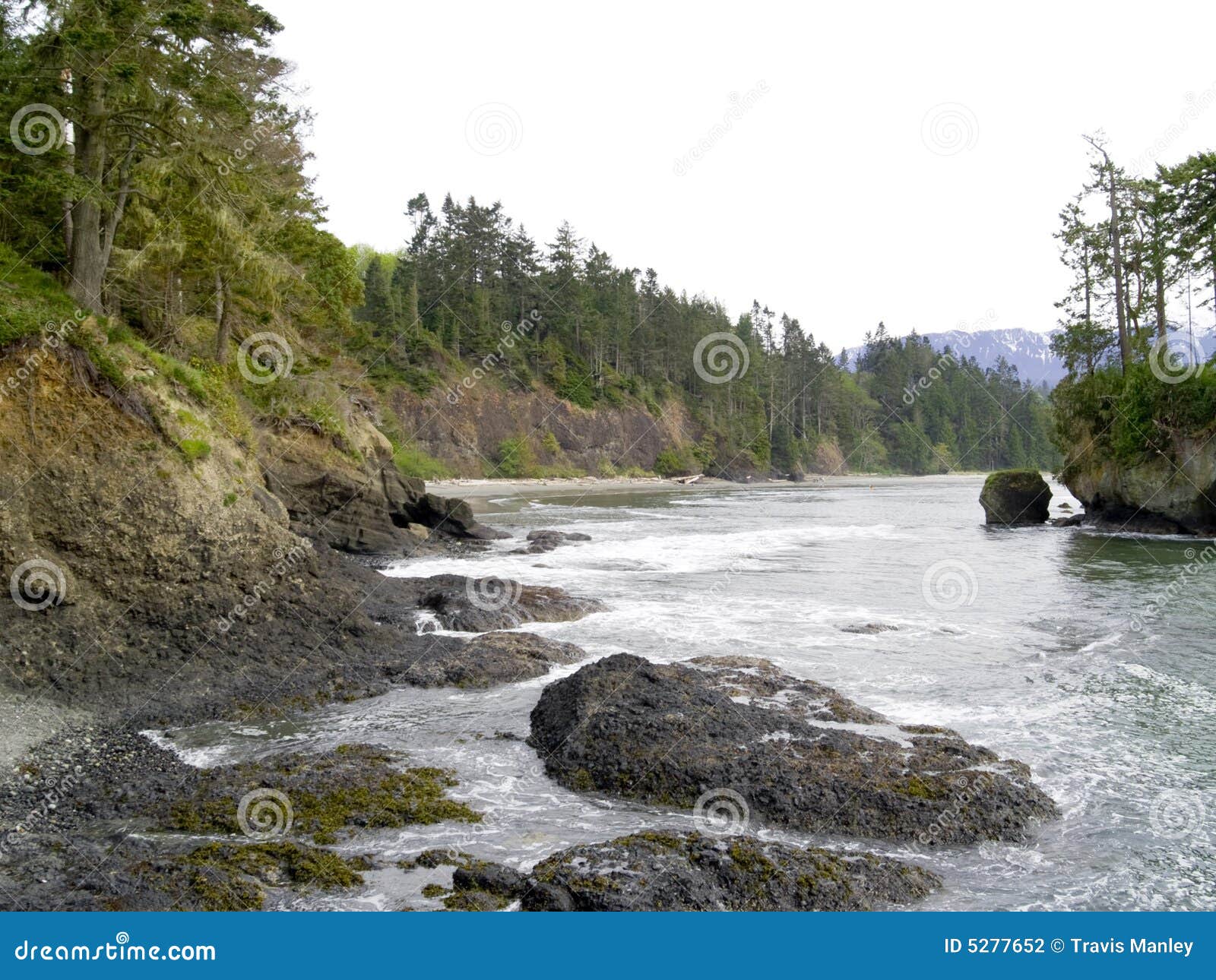 Pacific Northwest Beach stock photo. Image of coast, outdoors - 5277652