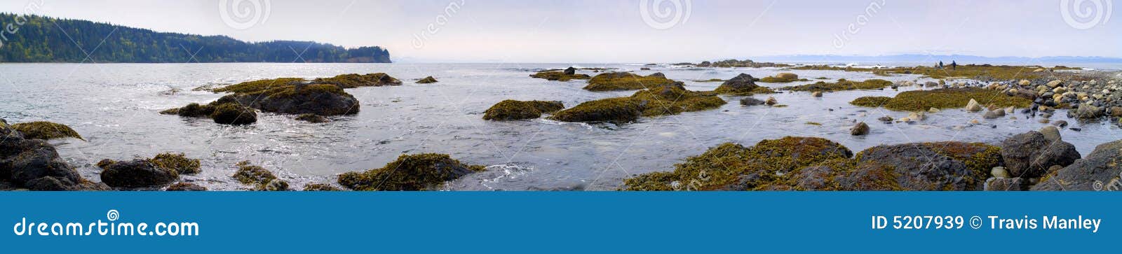 Pacific Northwest Beach Panoramic Stock Image - Image of coast, waves ...