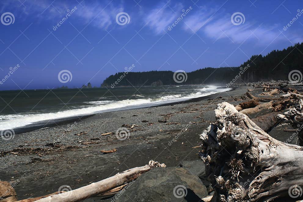 Pacific Northwest Coast stock photo. Image of breaker - 2705726