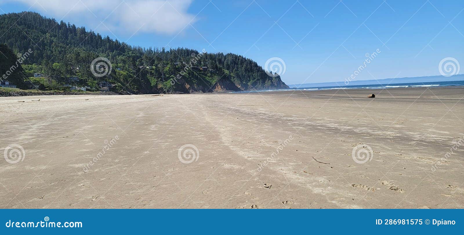 Pacific Northwest Coast Beaches of Oregon Stock Image - Image of ...