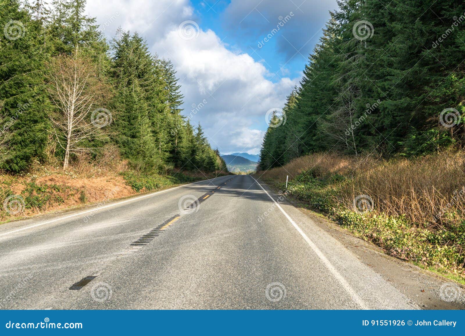 Pacific Northwest Highway stock photo. Image of leaf - 91551926