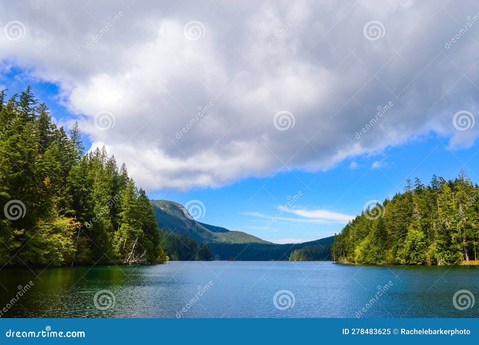Pacific Northwest Lake stock image. Image of tree, north - 278483625