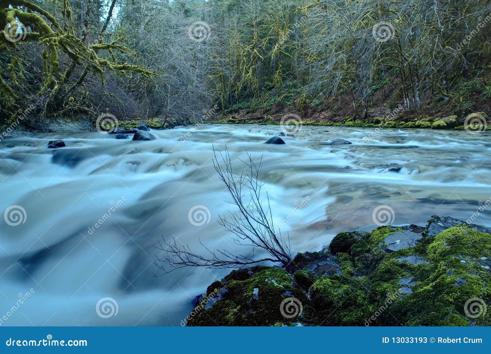 Pacific Northwest Mountain River Stock Image - Image of scenic, river ...
