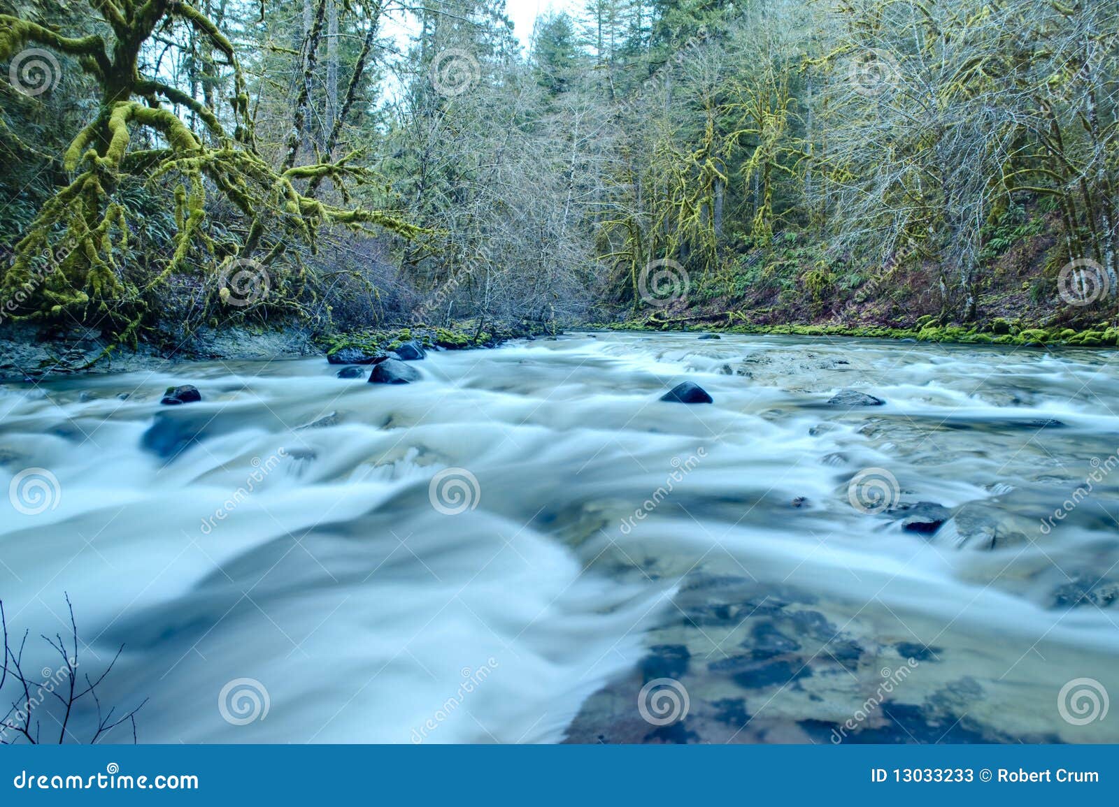Pacific Northwest Mountain River Stock Image - Image of pacific ...