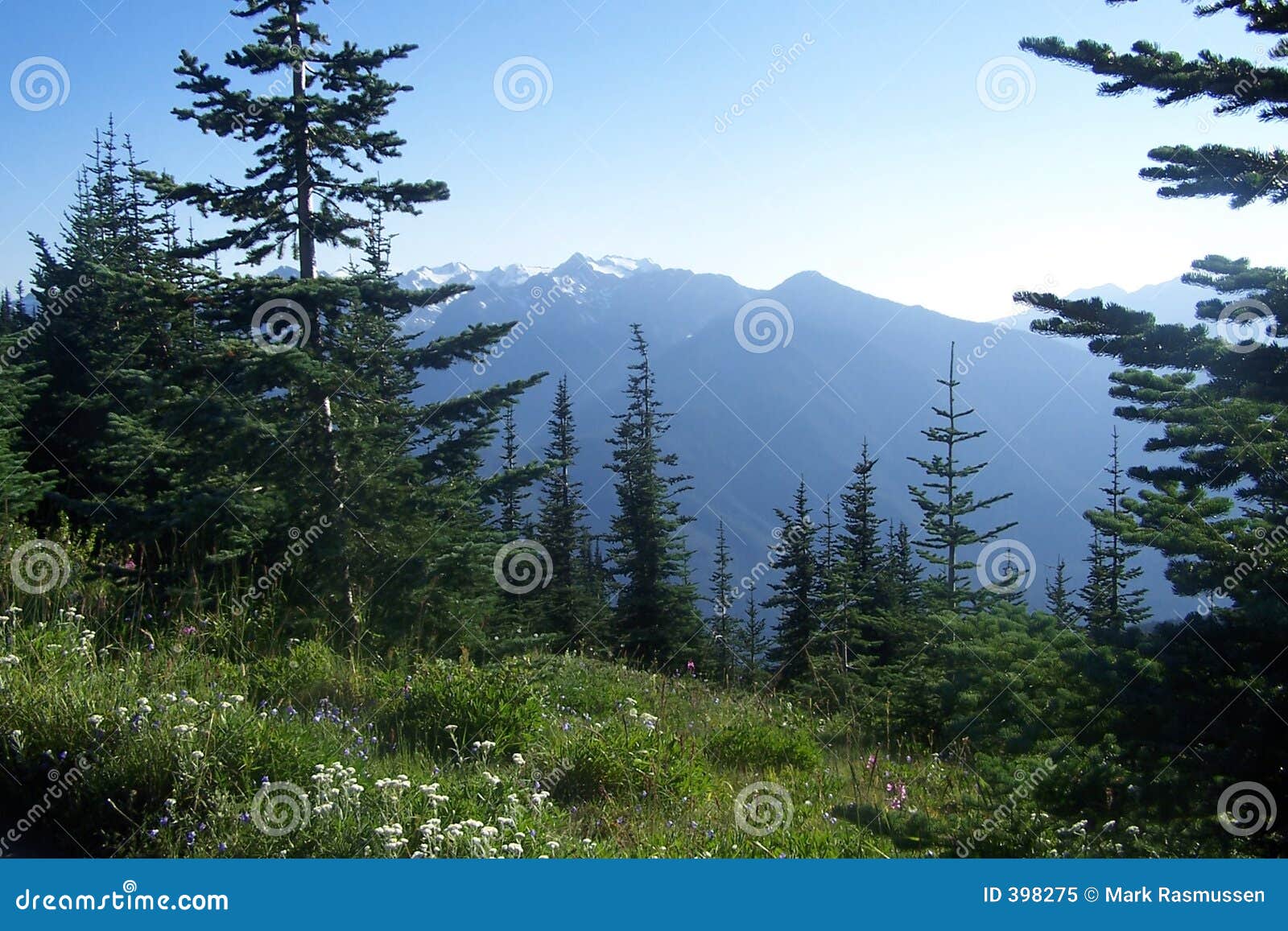 Pacific Northwest Mountains Stock Image - Image of altitude, pacific ...