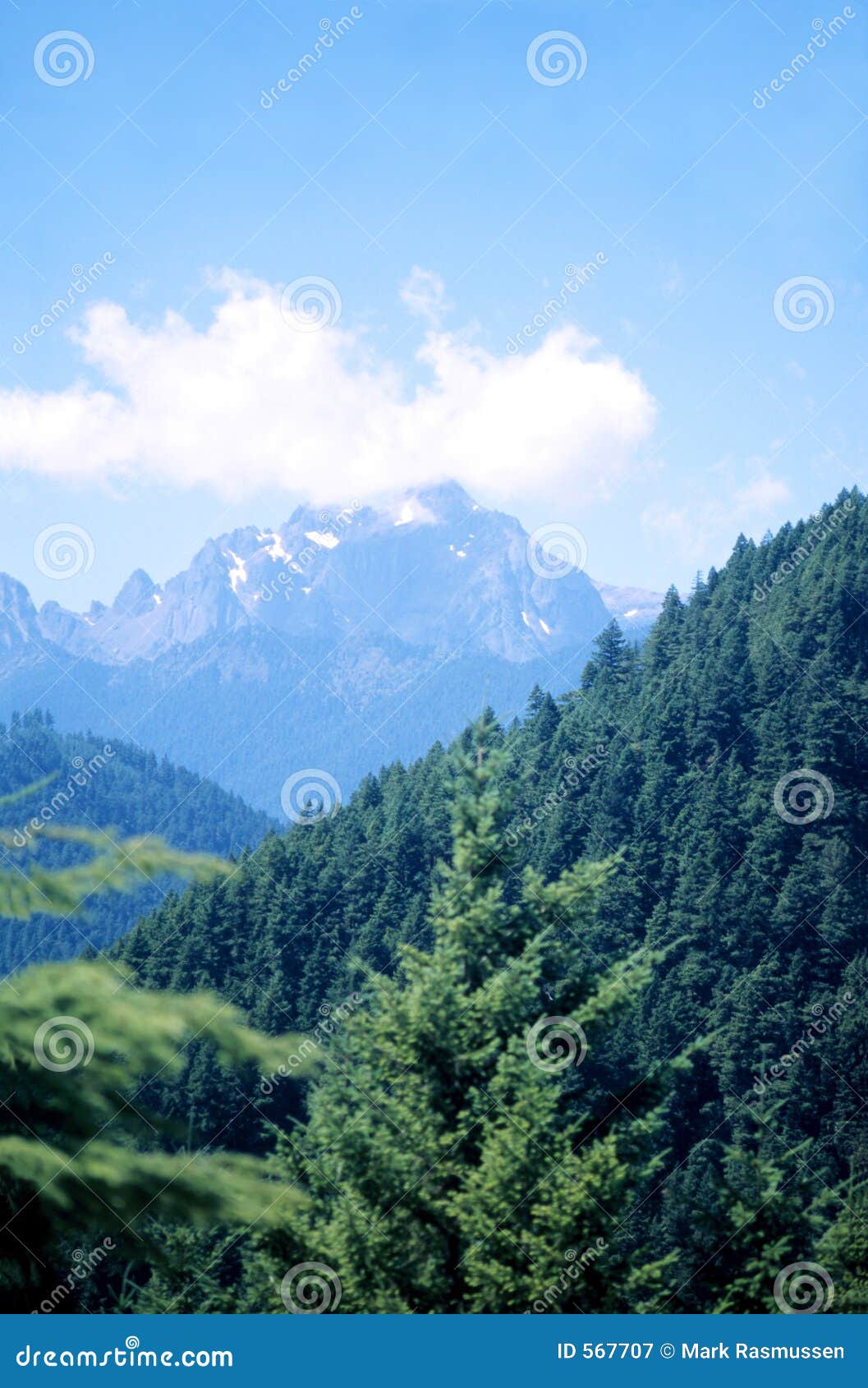 Pacific Northwest Mountains Stock Image - Image of forest, mountain: 567707