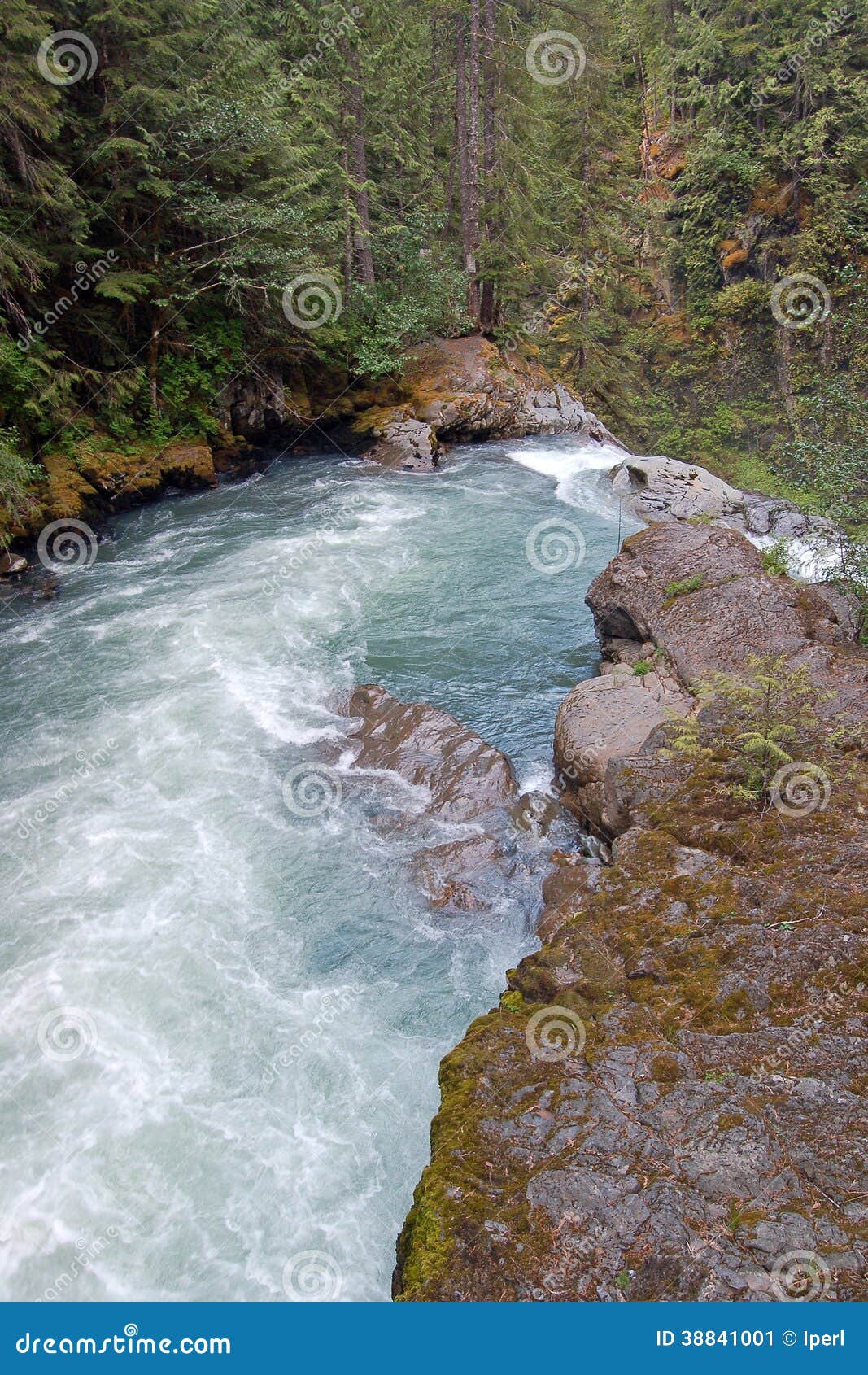 Pacific northwest river stock image. Image of rock, current - 38841001