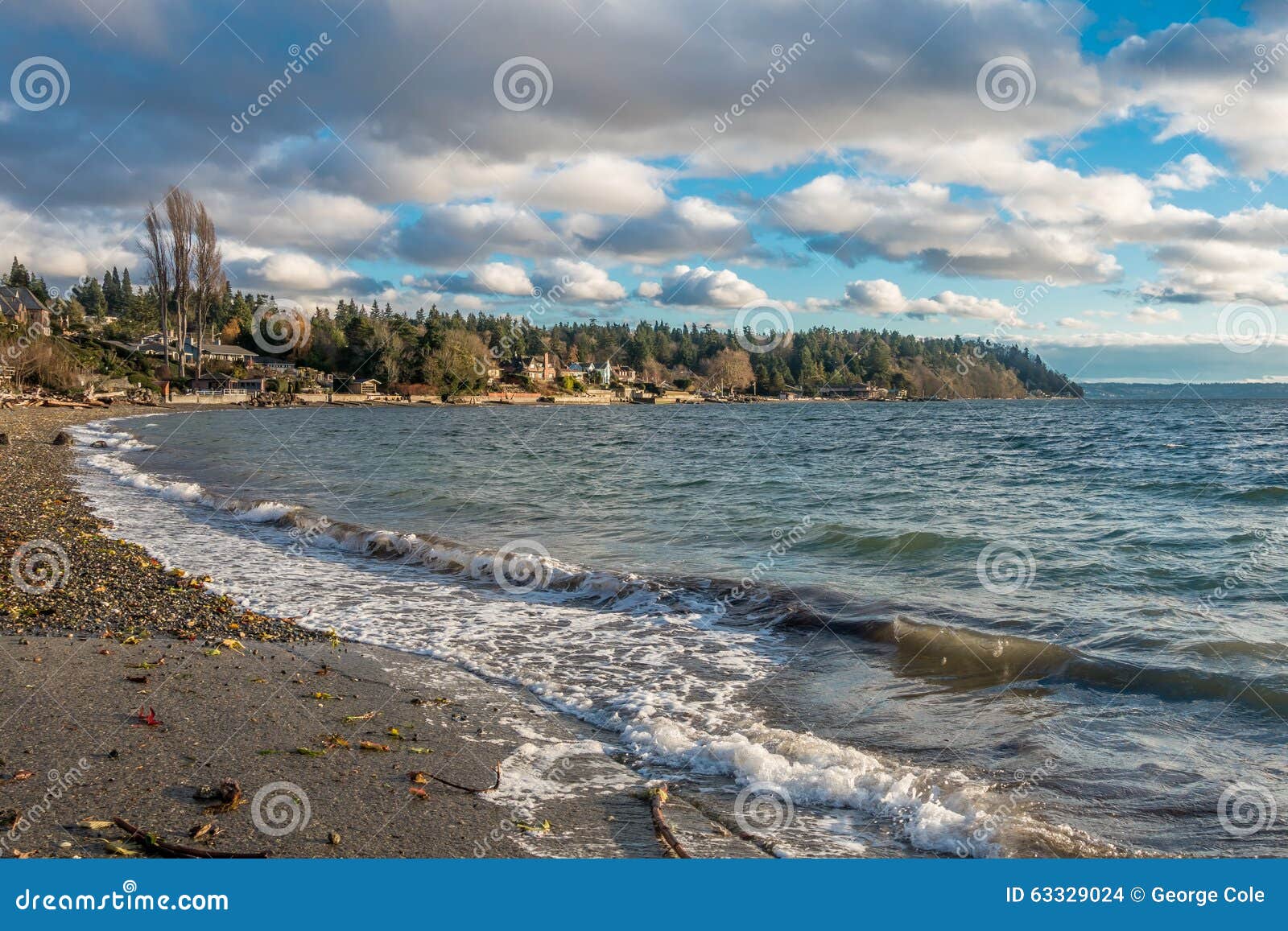 Pacific Northwest Shoreline 2 Stock Photo - Image of state, clouds ...