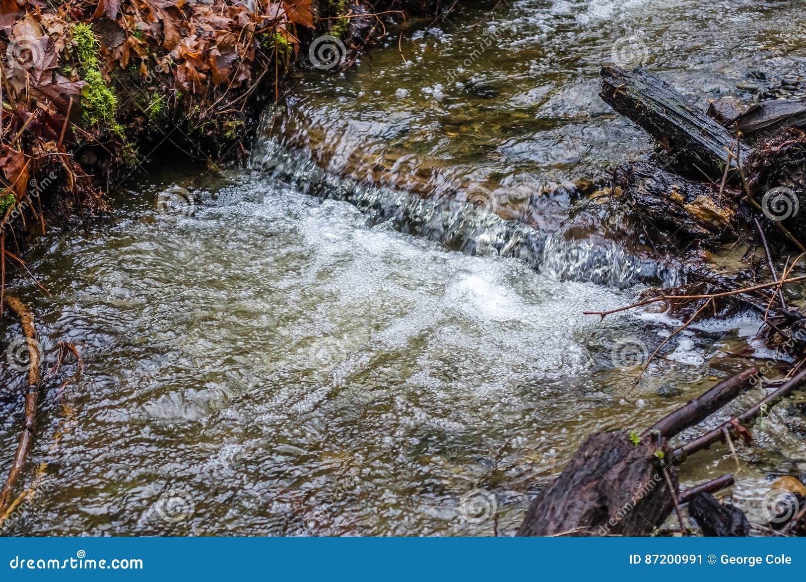Pacific Northwest Stream 6 stock image. Image of stream - 87200991