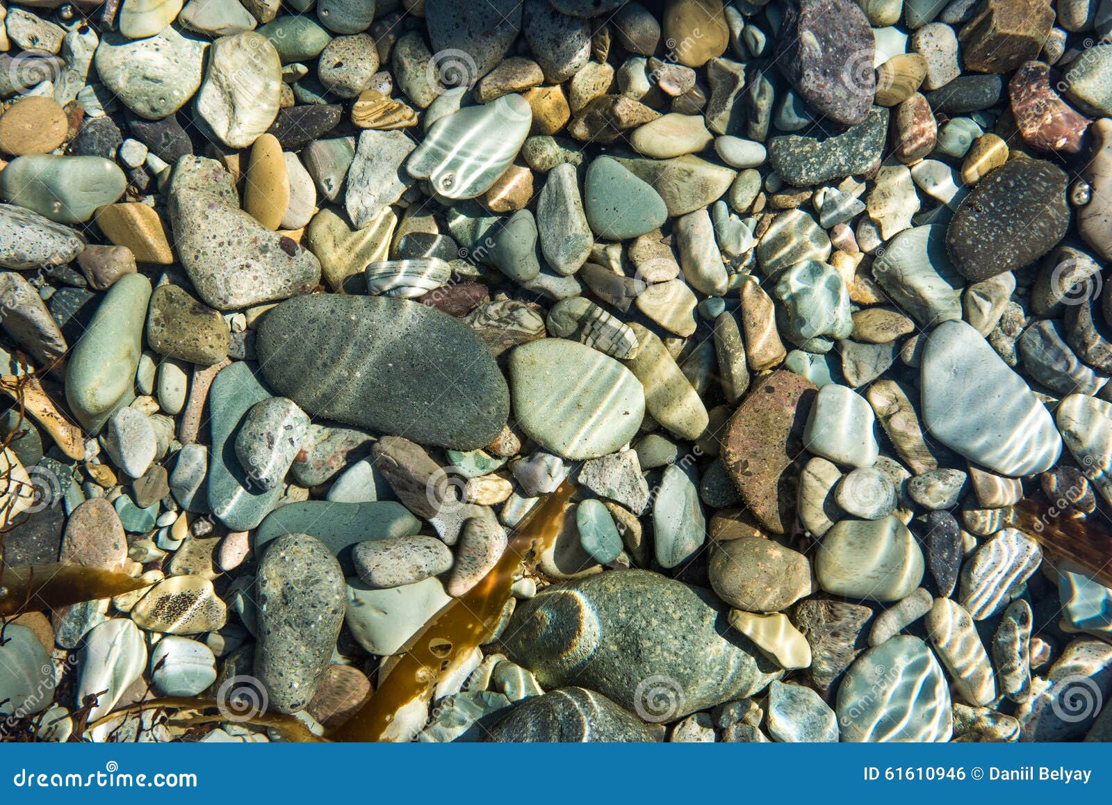 Pacific ocean bottom rocks stock photo. Image of color - 61610946