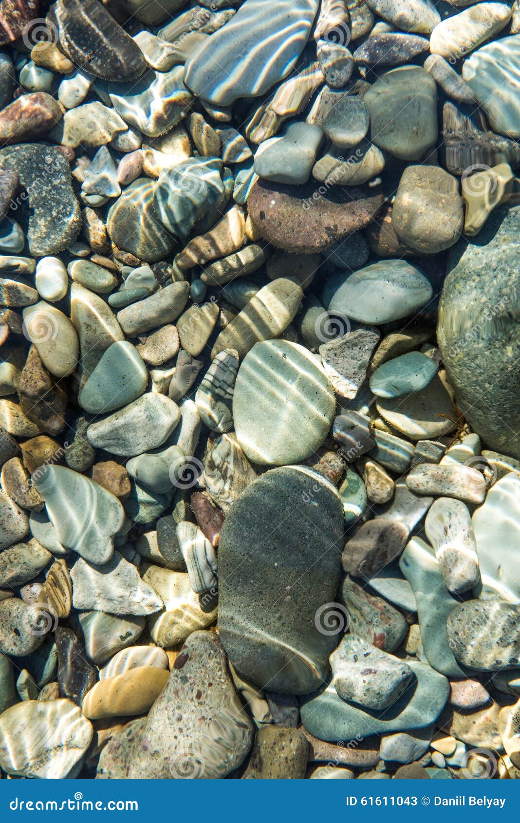 Pacific ocean bottom rocks stock image. Image of texture - 61611043