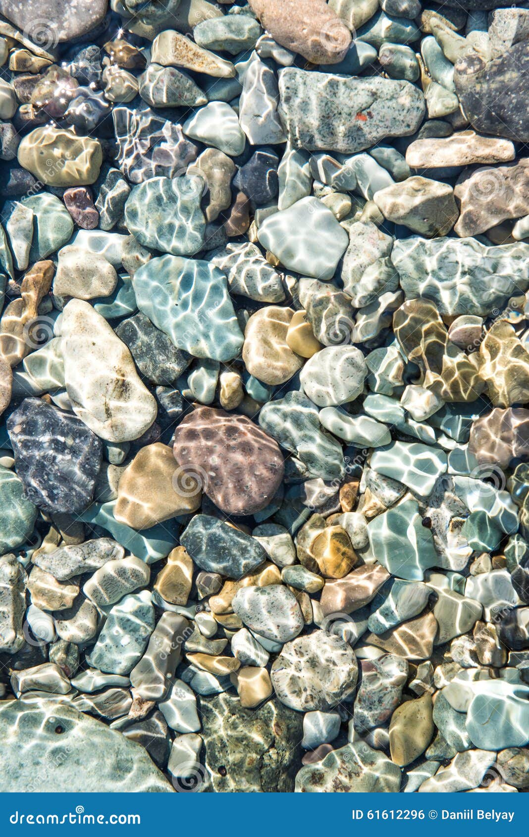 Pacific ocean bottom rocks stock photo. Image of nature - 61612296