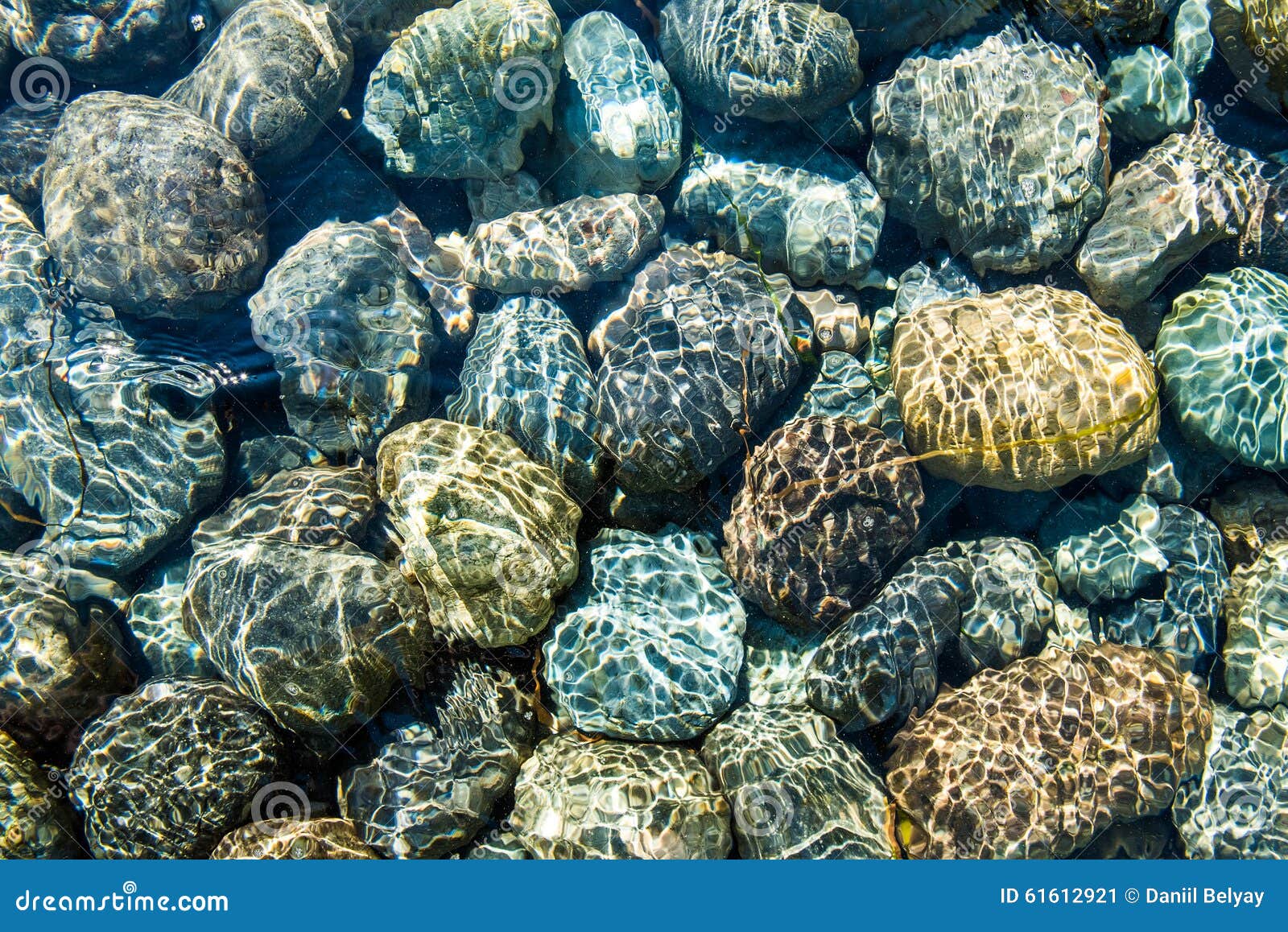 Pacific ocean bottom rocks stock image. Image of textured - 61612921