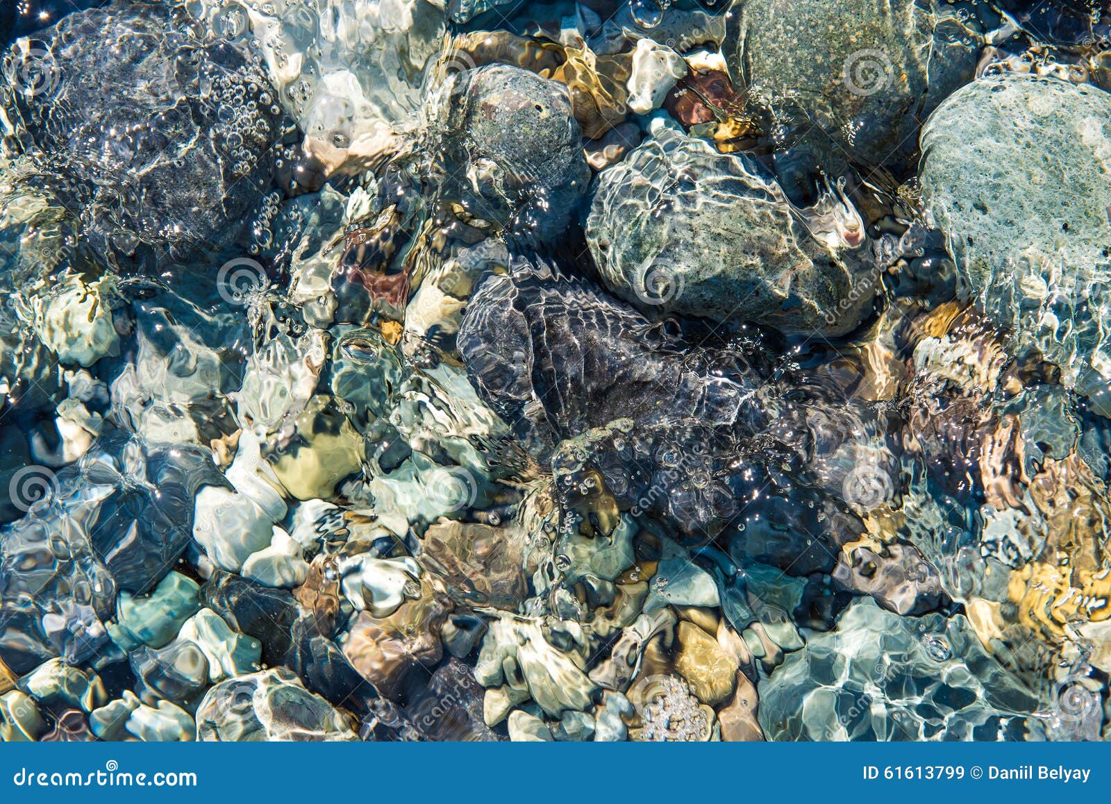 Pacific ocean bottom rocks stock image. Image of smooth - 61613799