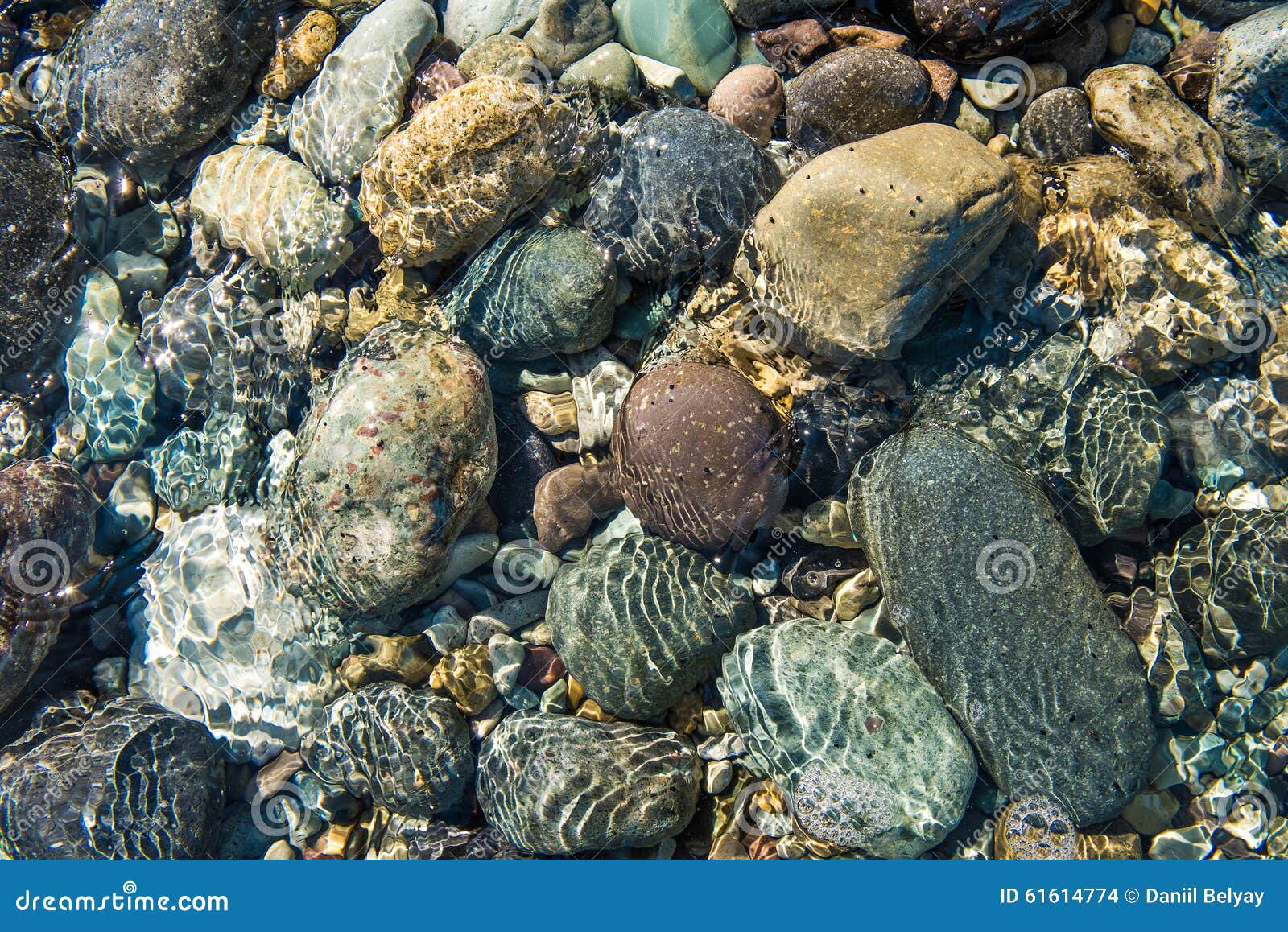 Pacific ocean bottom rocks stock photo. Image of closeup - 61614774