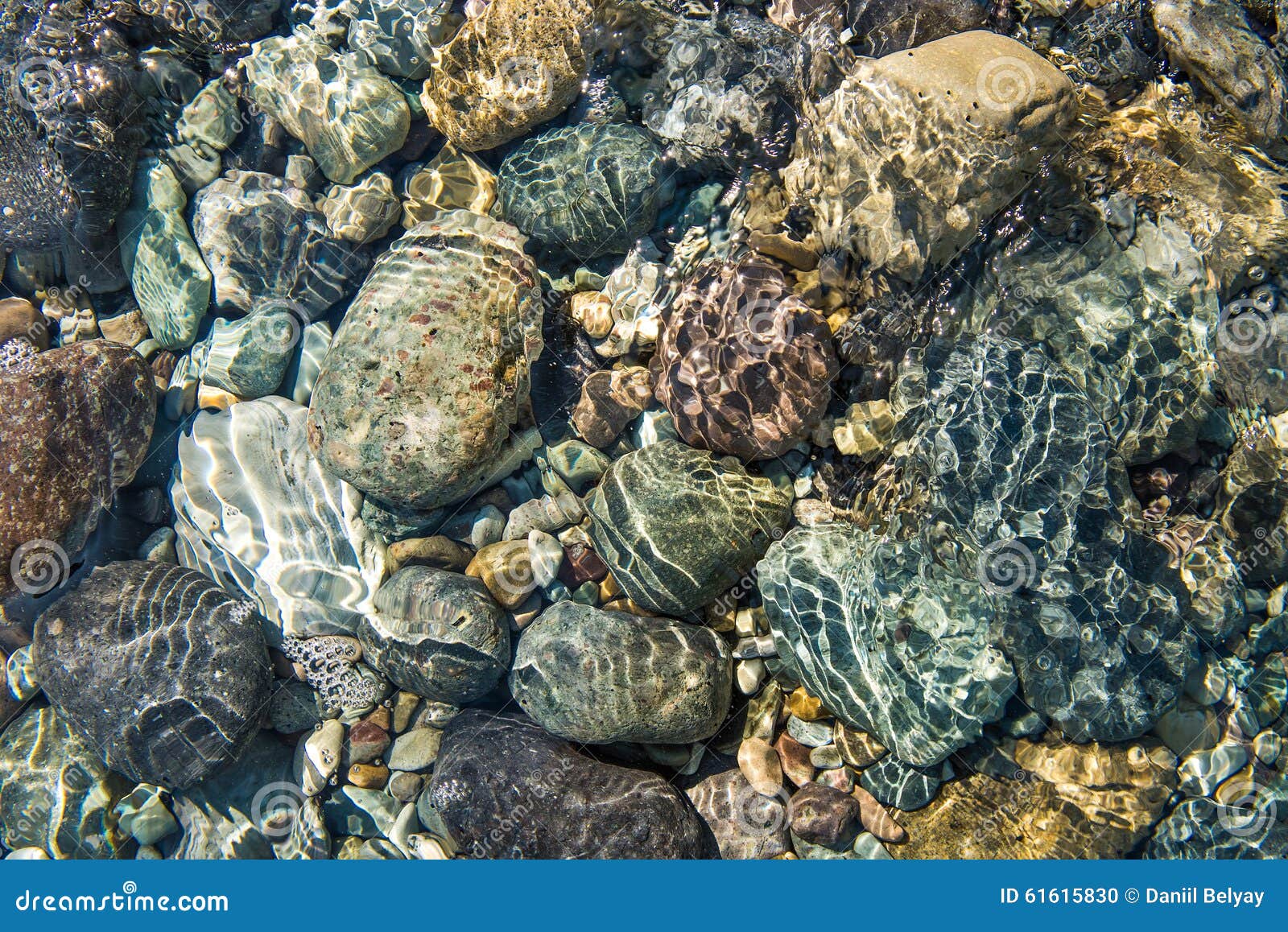 Pacific ocean bottom rocks stock photo. Image of outdoor - 61615830