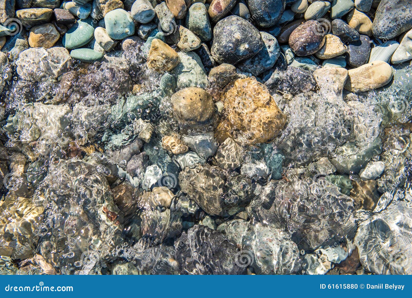 Pacific ocean bottom rocks stock photo. Image of macro - 61615880
